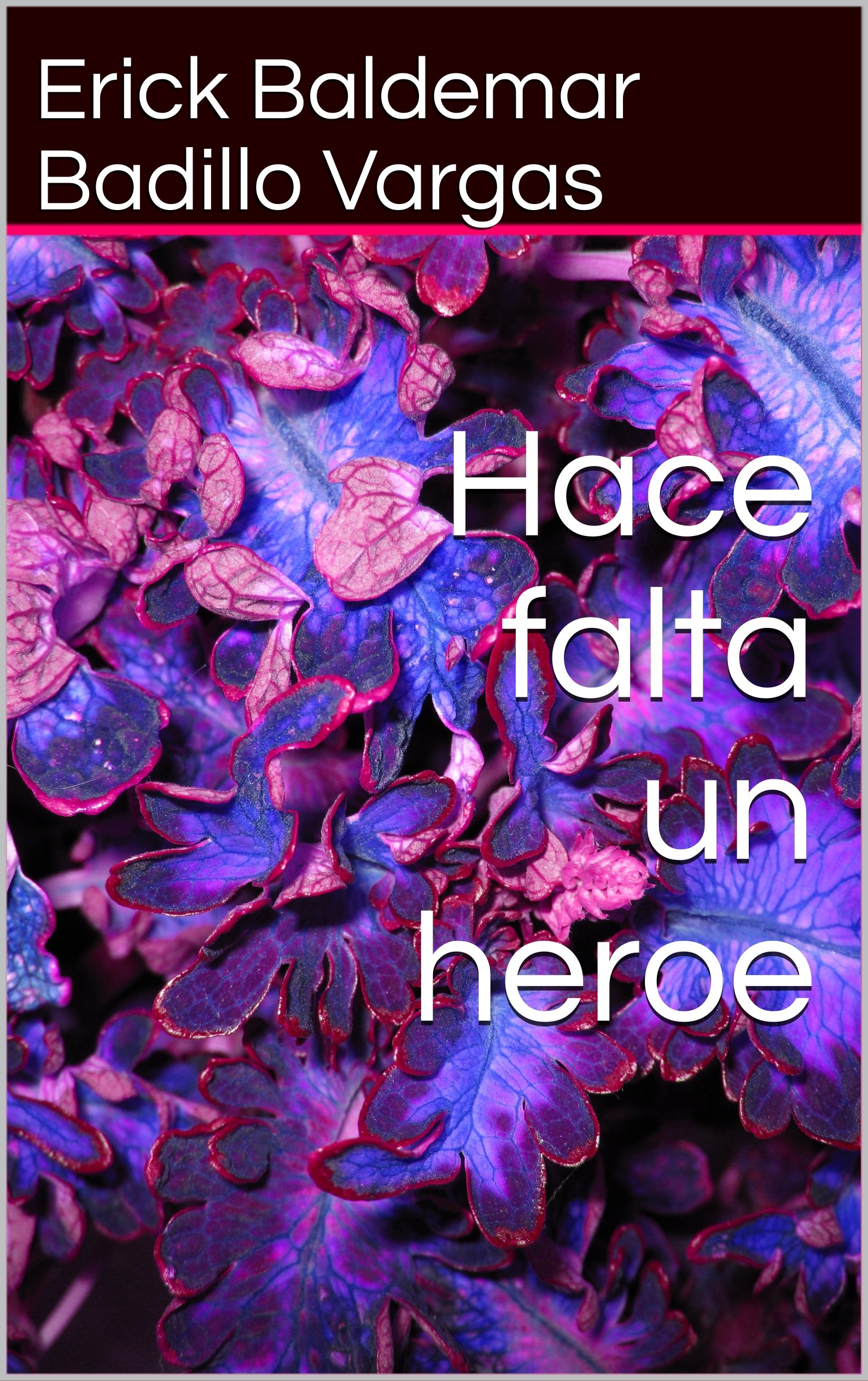 Hace falta un heroe (Spanish Edition) by Erick Badillo Vargas | Goodreads