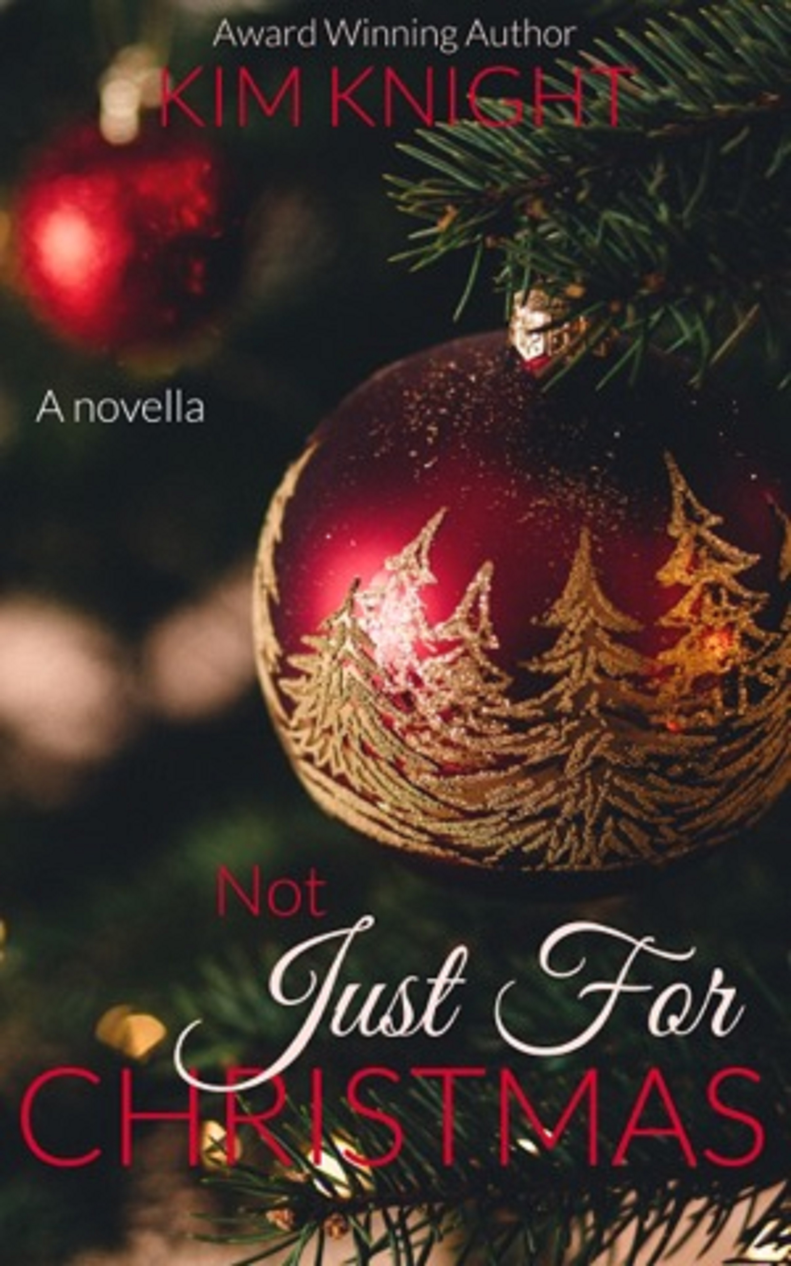 Not Just for Christmas by Kim Knight | Goodreads