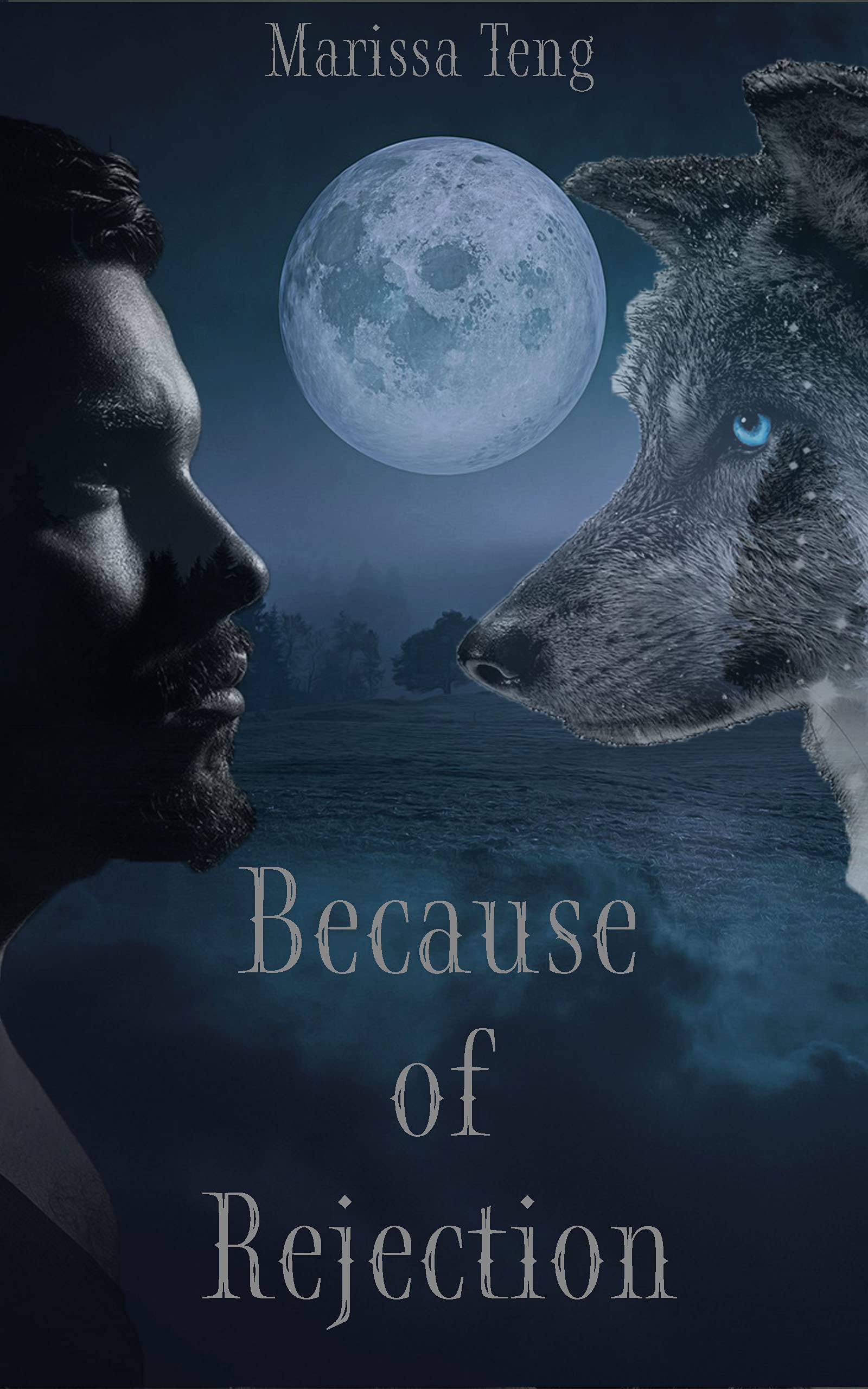 Because of Rejection : A Danes Family Pack Novel by Marissa Teng ...