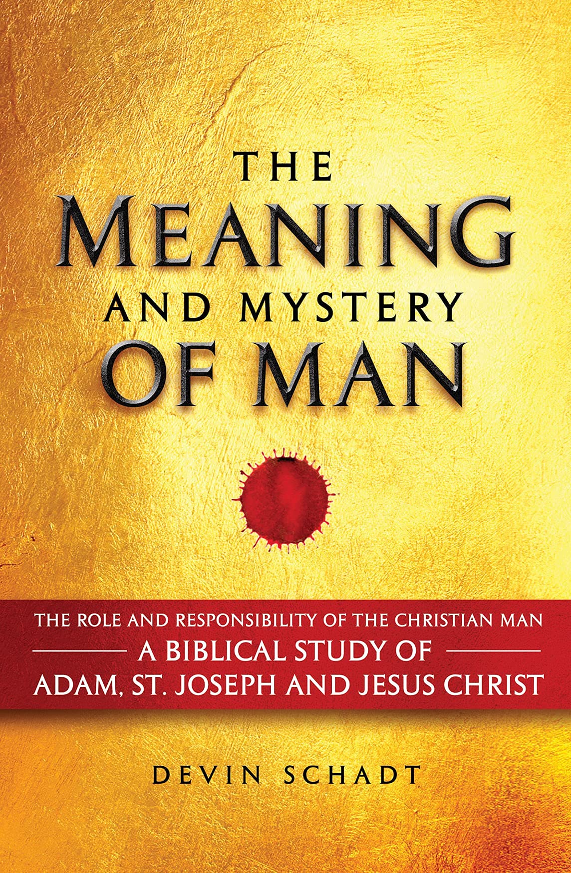 The Meaning and Mystery of Man: The Role and Responsibility of the ...