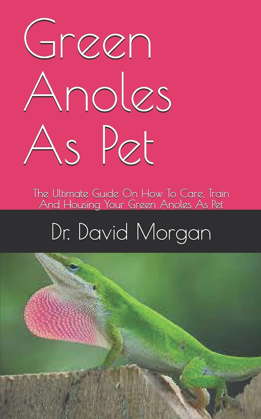 Green Anoles As Pet: The Ultimate Guide On How To Care, Train And ...
