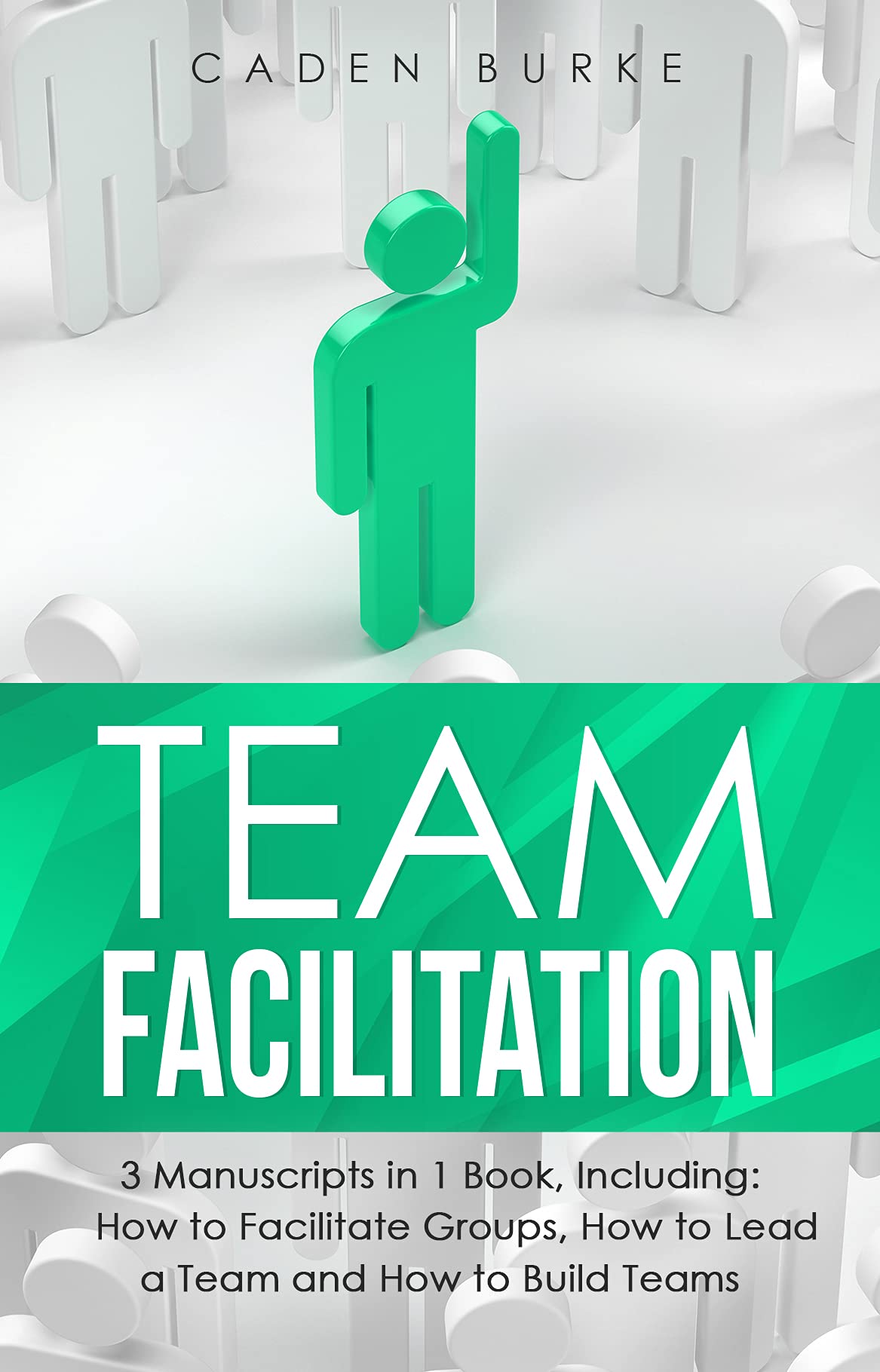 Team Facilitation: 3-in-1 Bundle to Master Facilitating Meetings ...