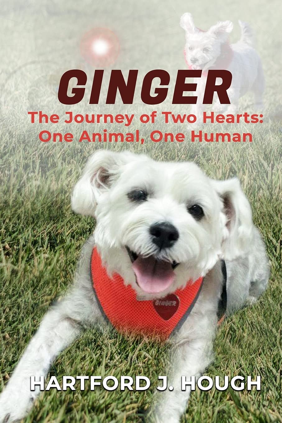 Ginger: The Journey of Two Hearts One Human and One Animal by Hartford ...