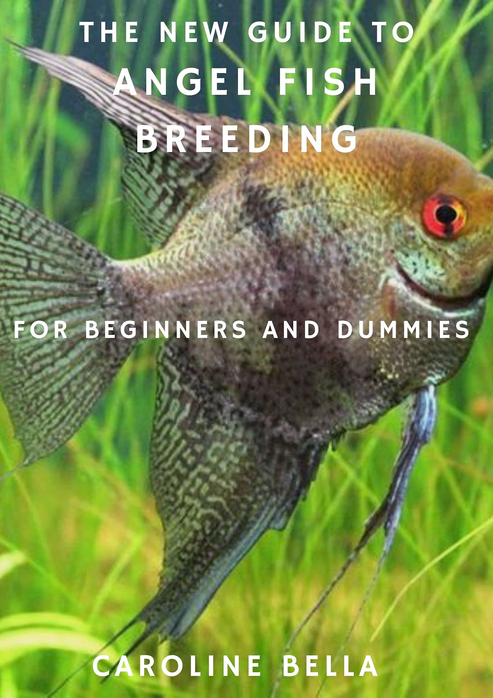 The New Guide To Angel Fish Breeding For Beginners And Dummies by ...