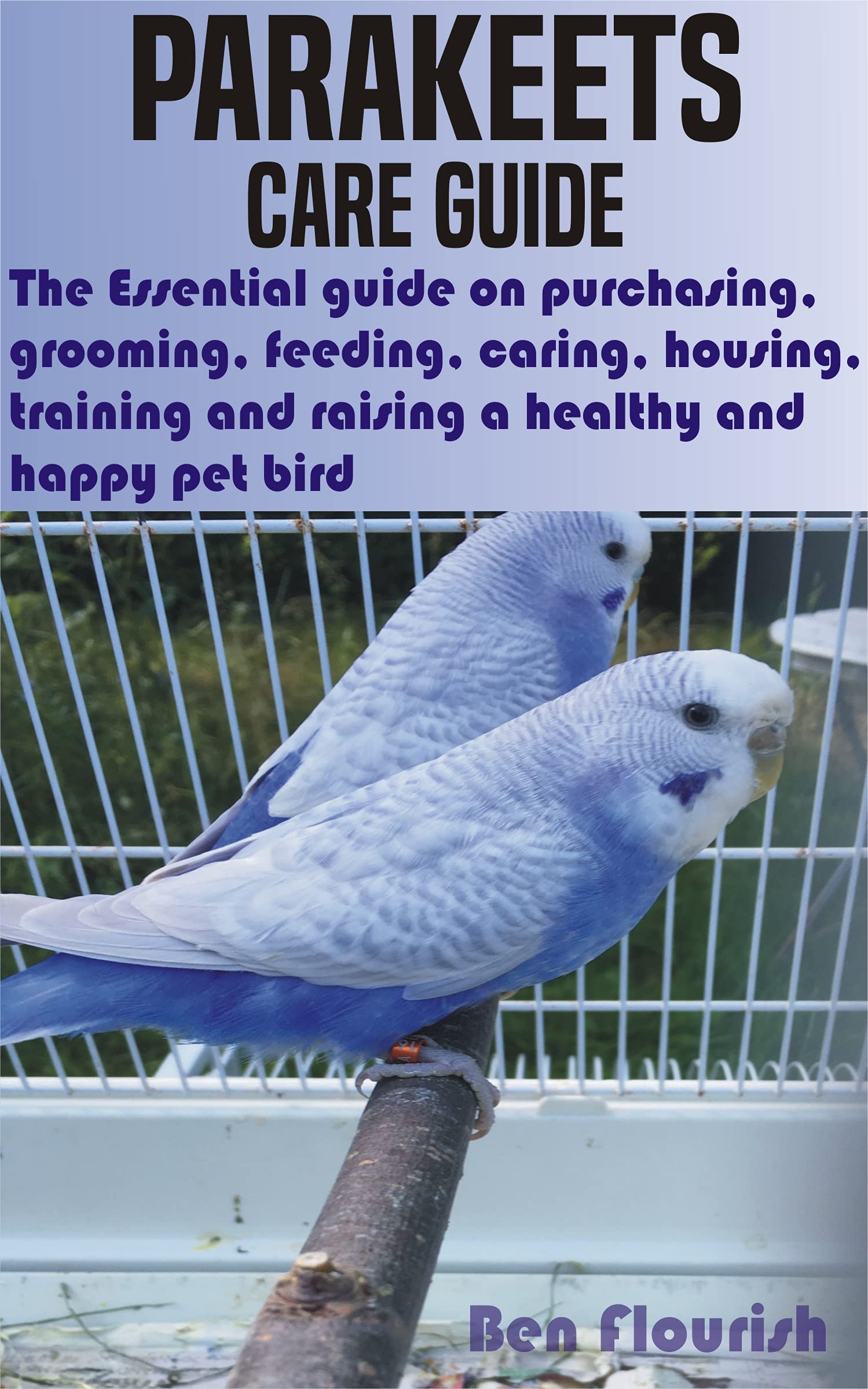 PARAKEETS CARE GUIDE: The Essential guide on purchasing, grooming ...