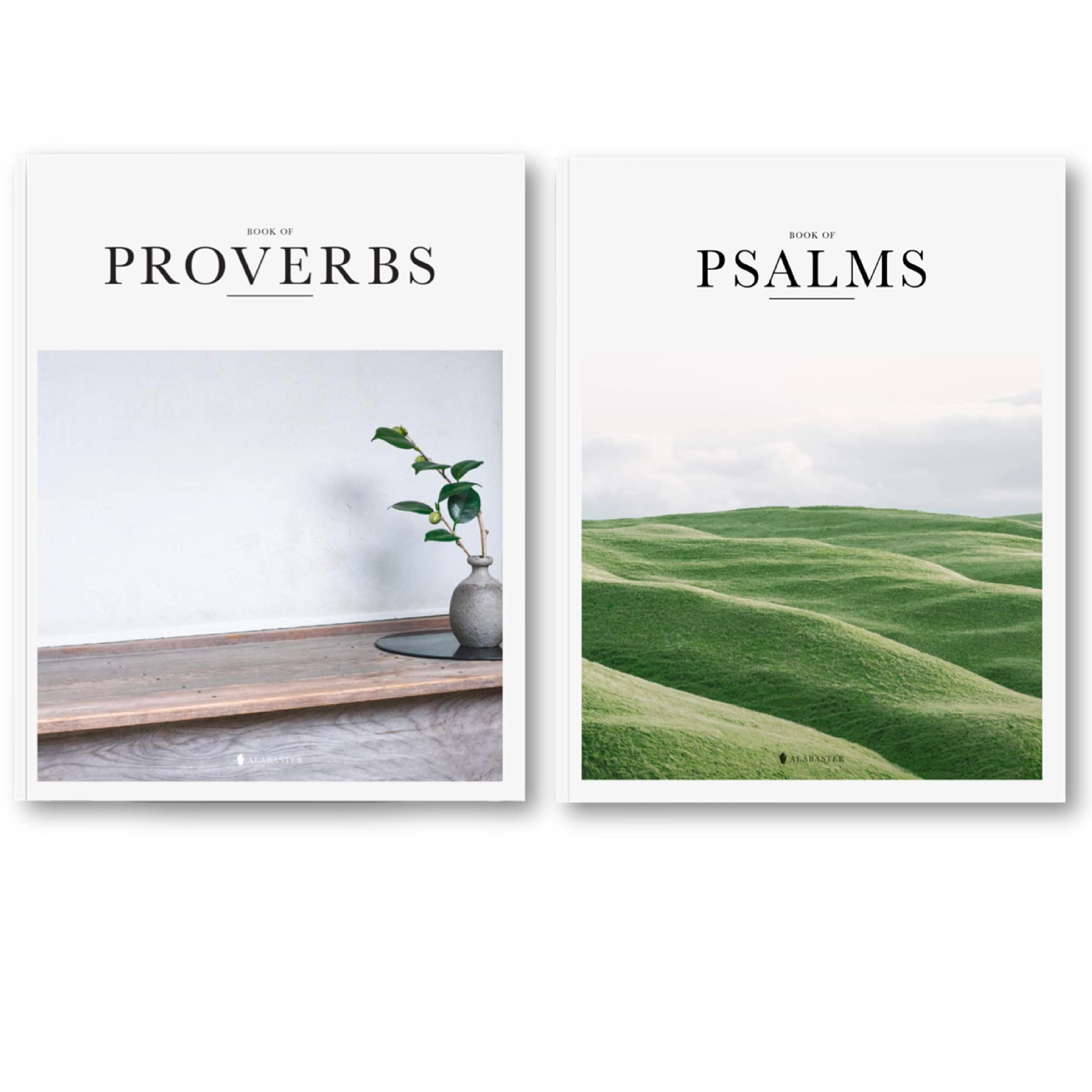 Book of Proverbs & Book of Psalms Set - Alabaster Bible by Alabaster Co ...