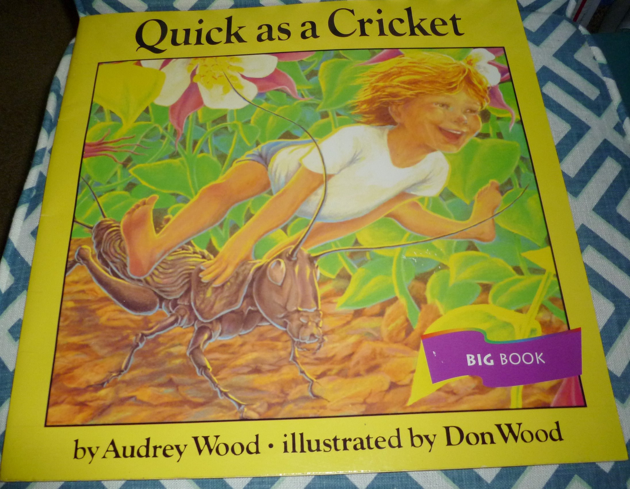 Quick As a Cricket: Big Shared Book by Audrey Wood | Goodreads