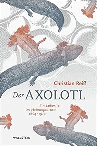 Der Axolotl - Ein Labortier im Heimaquarium 1864-1914 by Christian ...