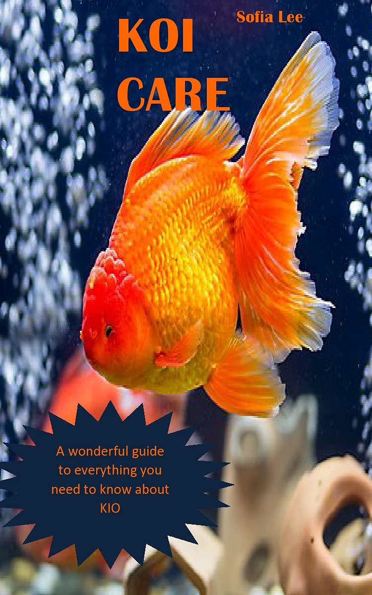 KOI CARE: A wonderful guide to everything you need to know about koi by ...