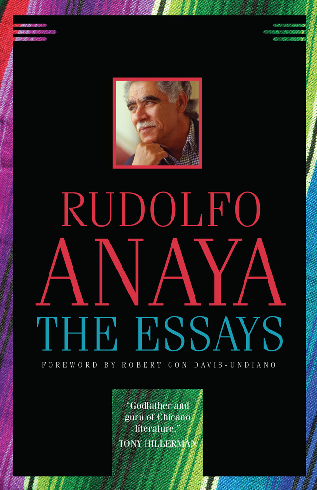 The Essays (Chicana and Chicano Visions of the Américas Series) by ...
