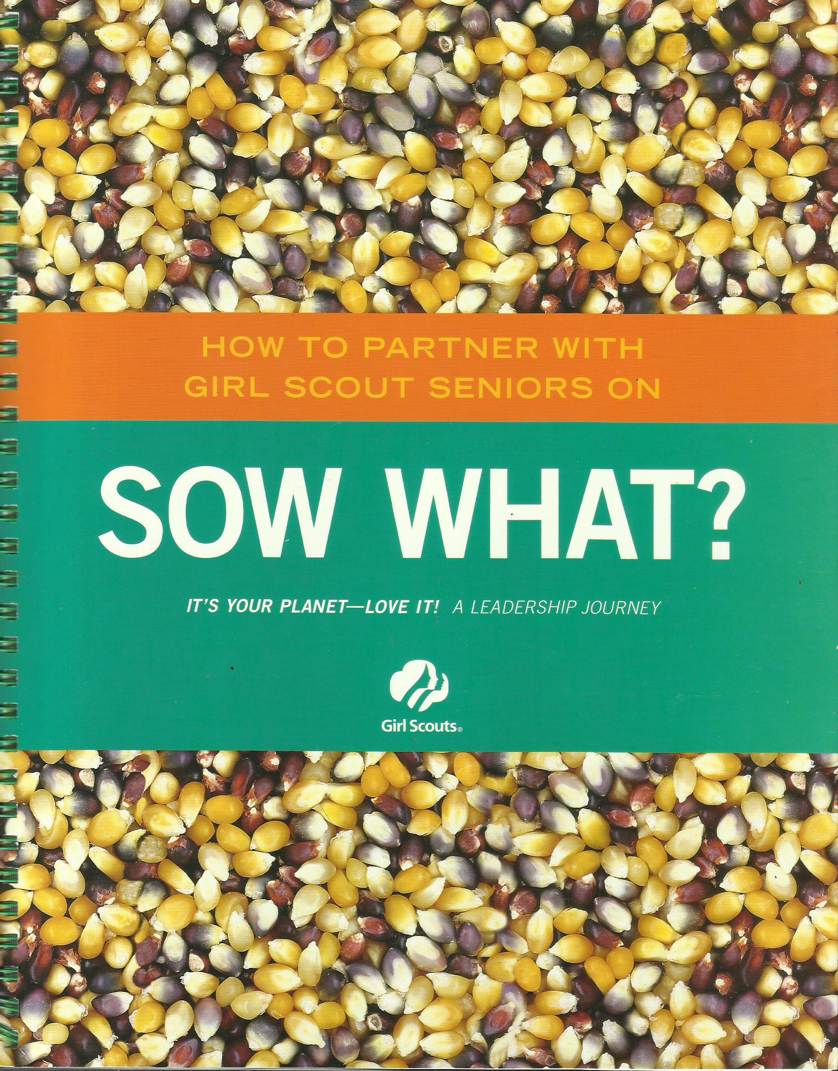 How to Partner with Girl Scout Seniors on SOW WHAT? by Naomi Person ...