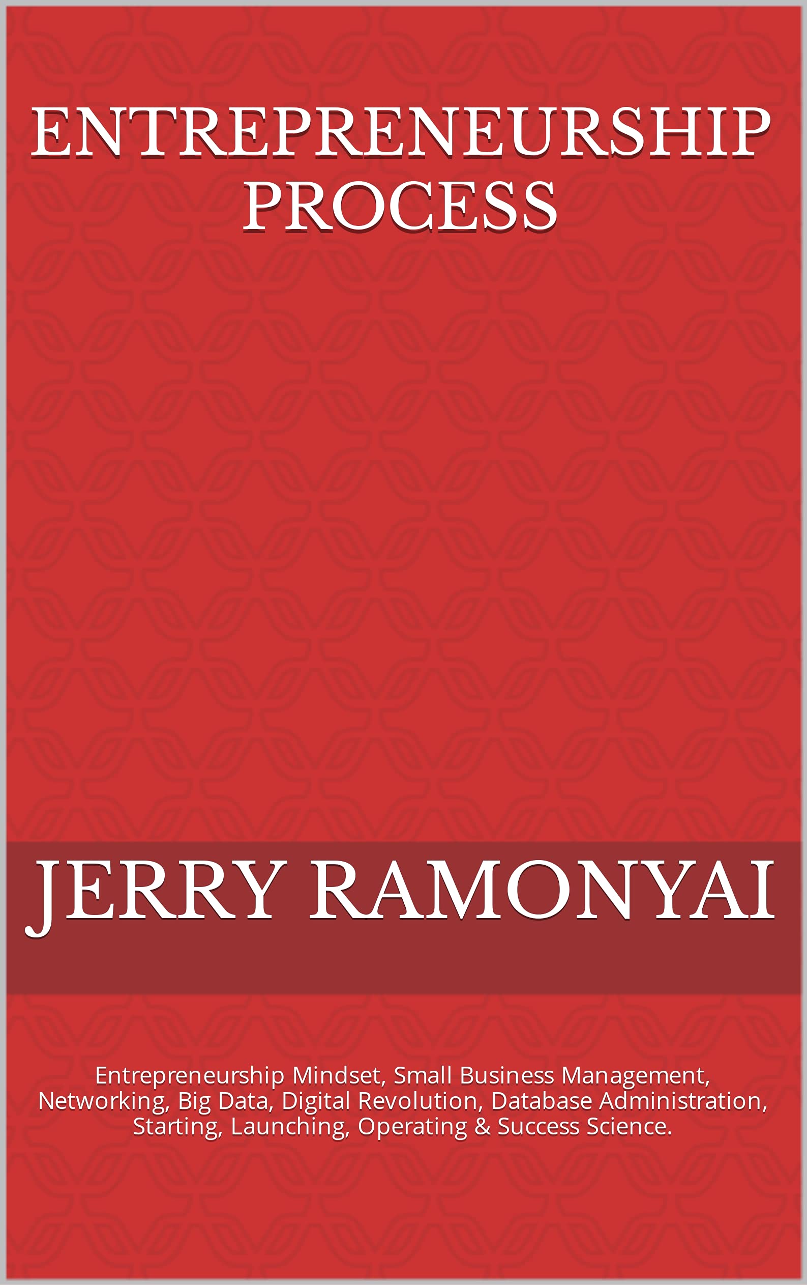 Entrepreneurship Process: Entrepreneurship Mindset, Small Business ...