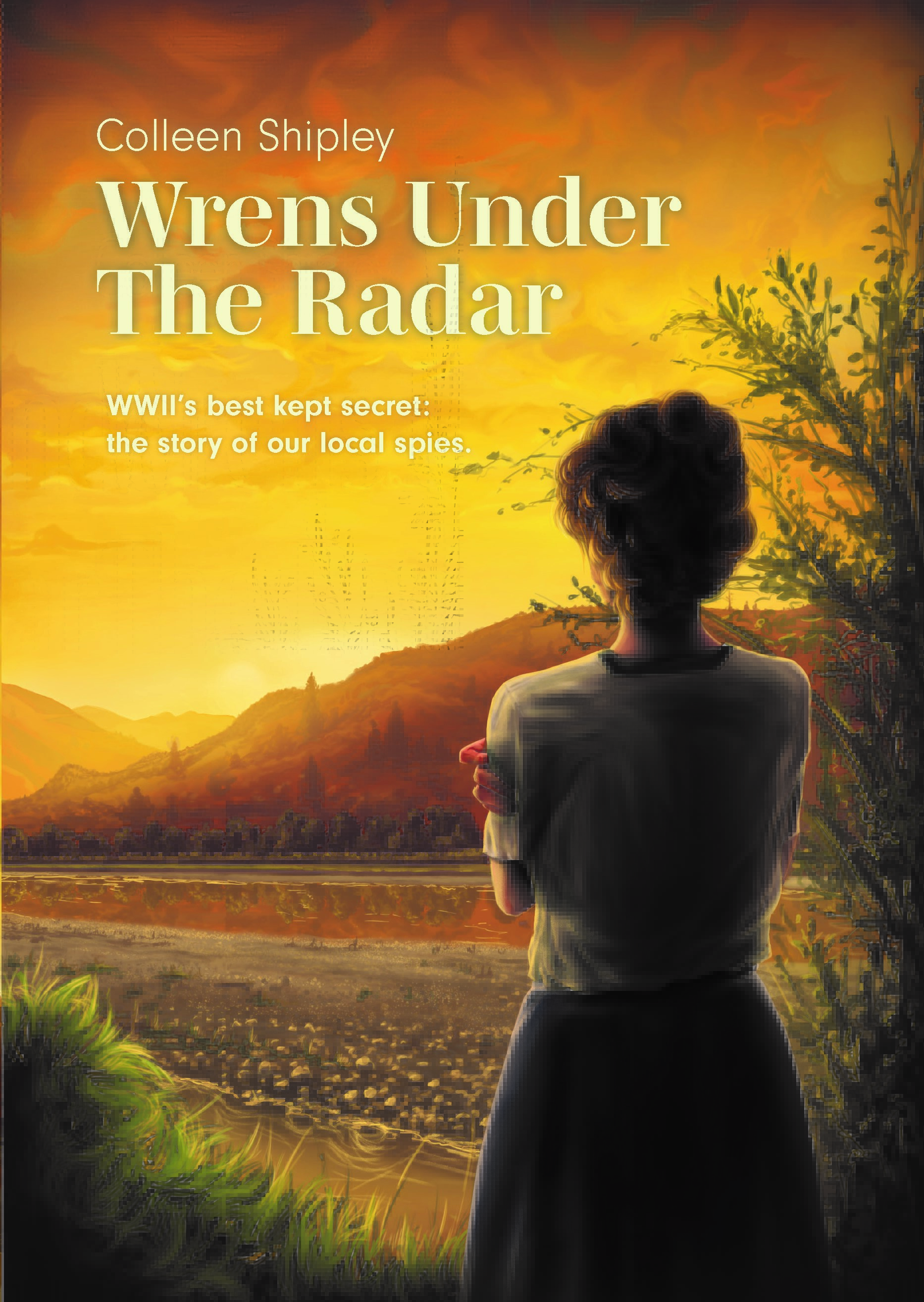 Wrens under the Radar by Colleen Shipley | Goodreads