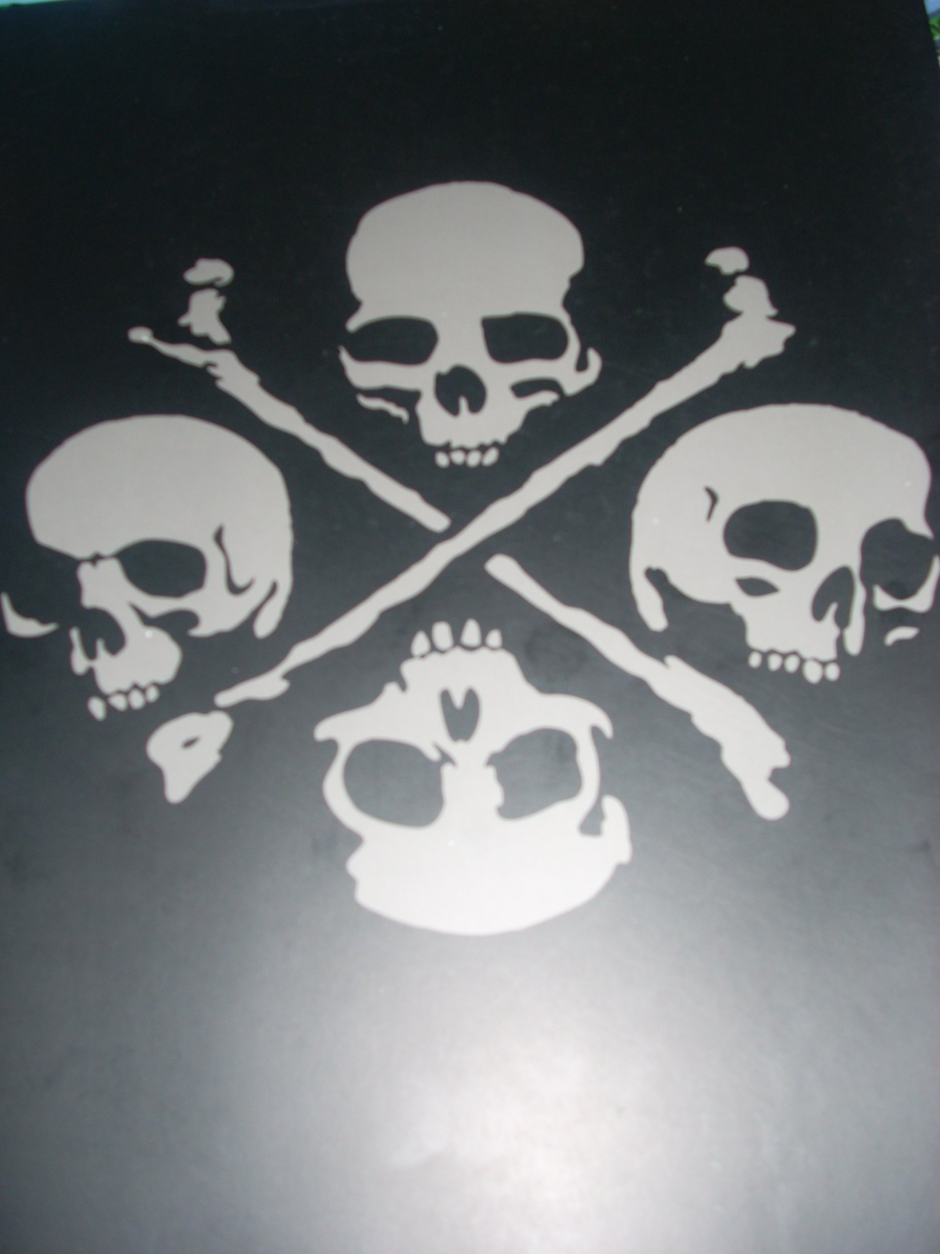 The Skull Project by Matthew Amey | Goodreads