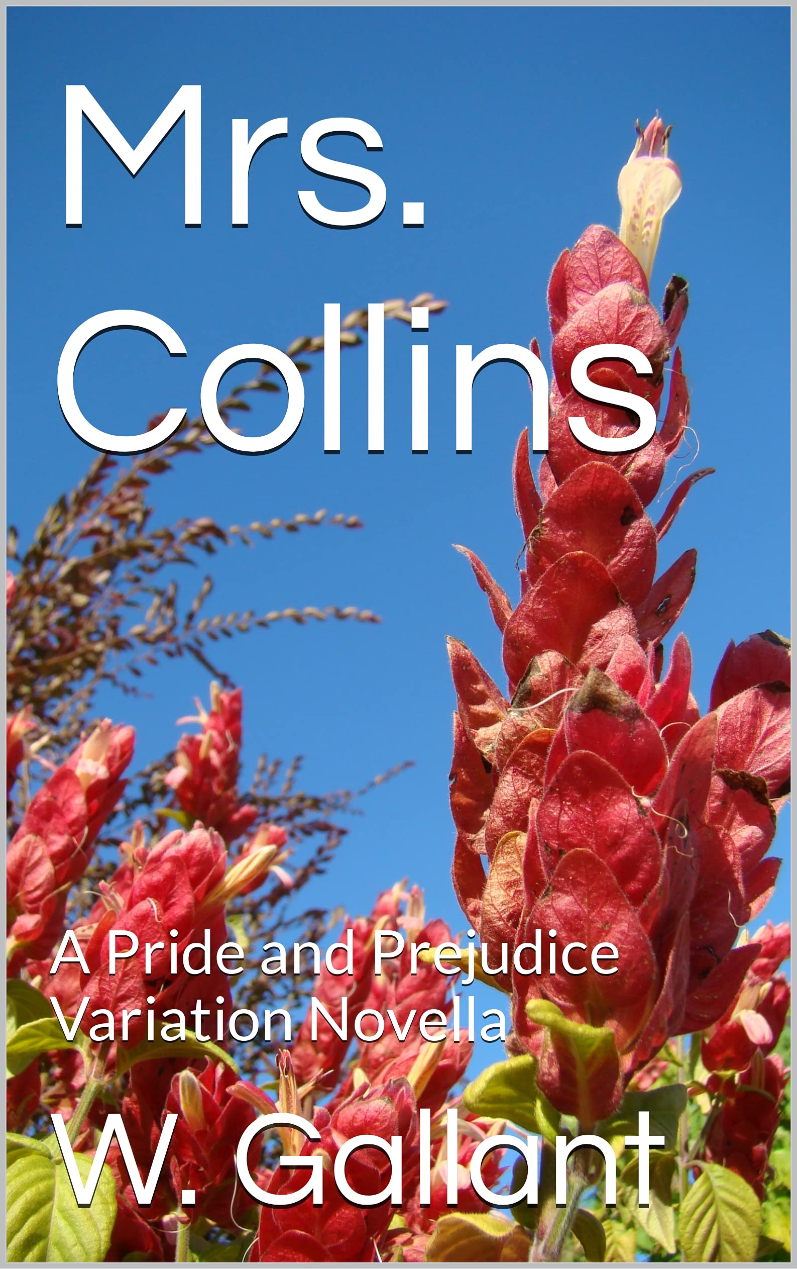 Mrs. Collins: A Pride and Prejudice Variation Novella by W. Gallant ...