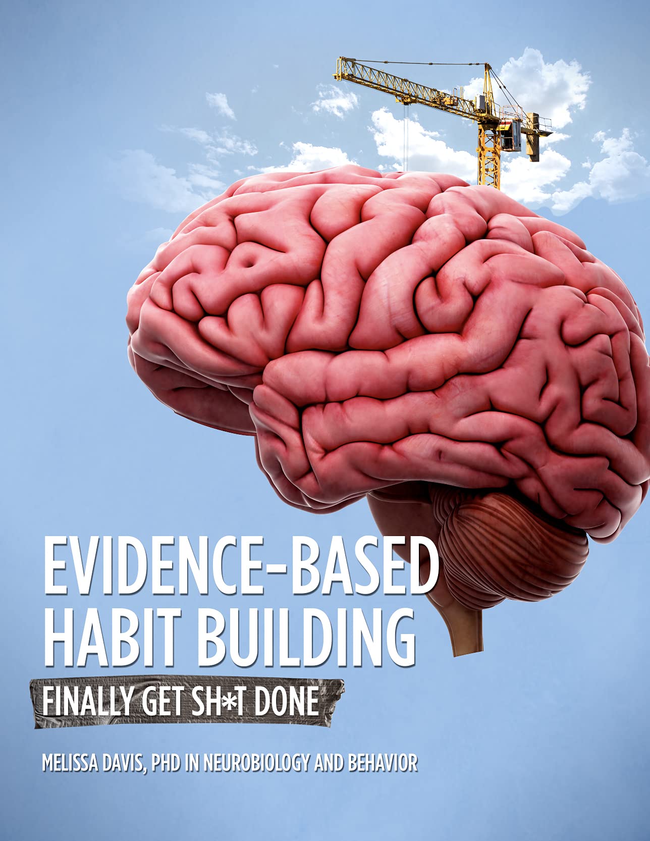 Evidence-Based Habit Building: Finally Get Sh*t Done by Melissa Davis ...