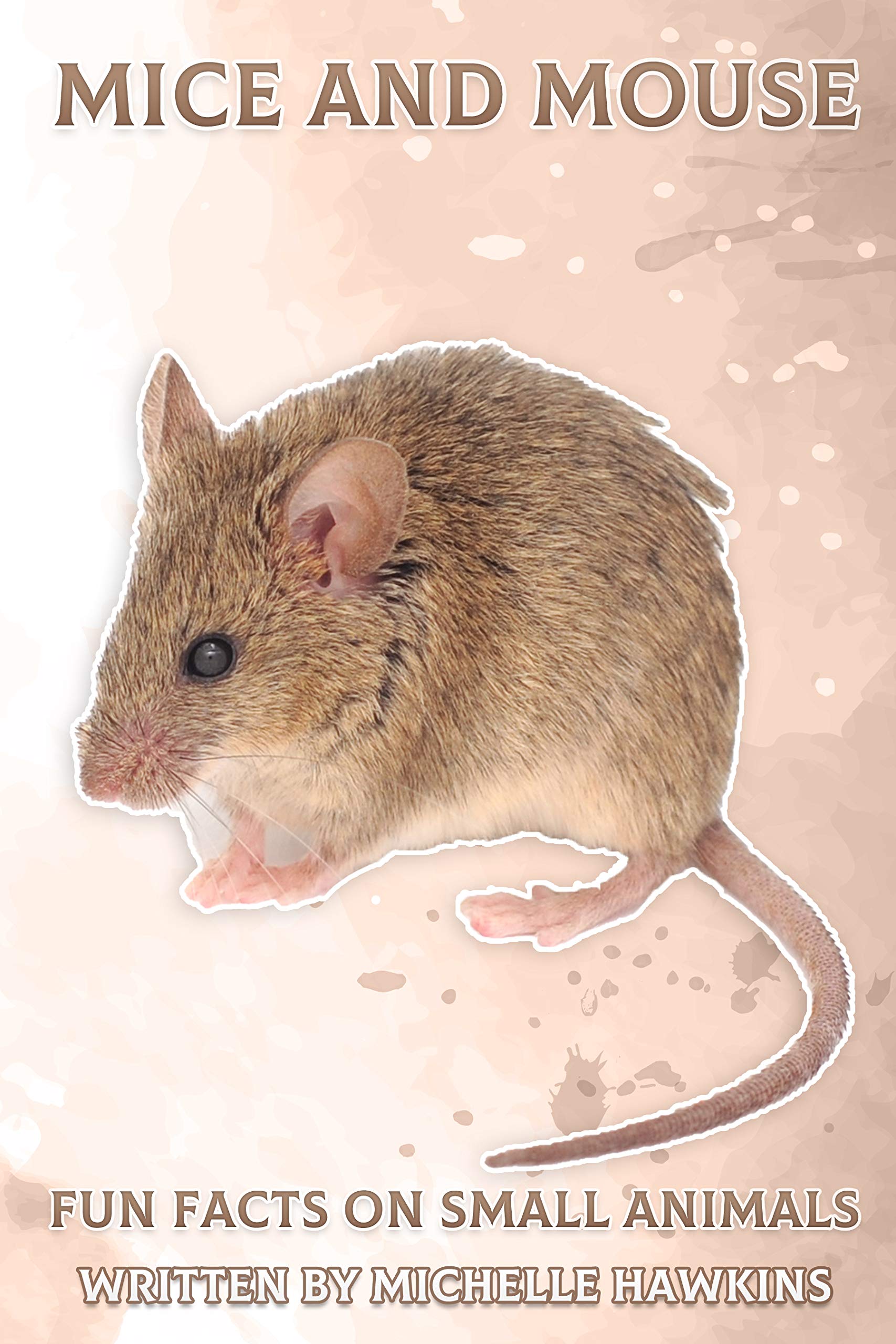 Mice and Mouse: Fun Facts on Small Animals #5 by Michelle Hawkins ...