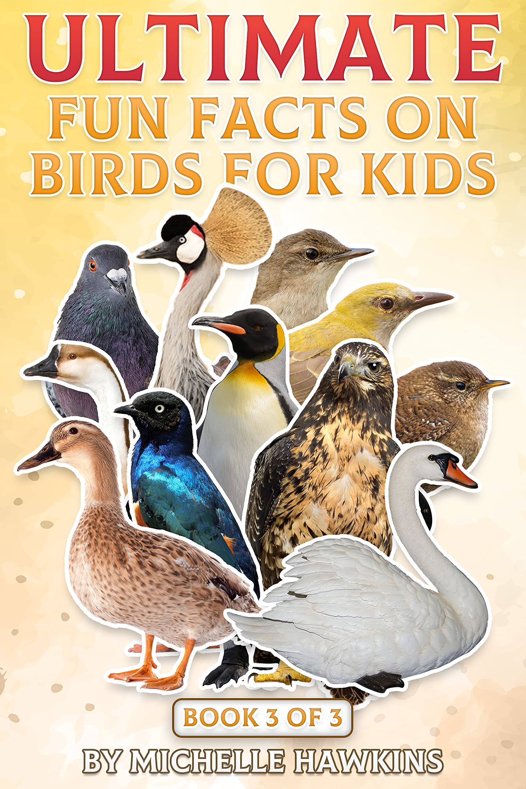 Ultimate Fun Facts on Birds for Kids : Book 3 of 3 ebook include ...