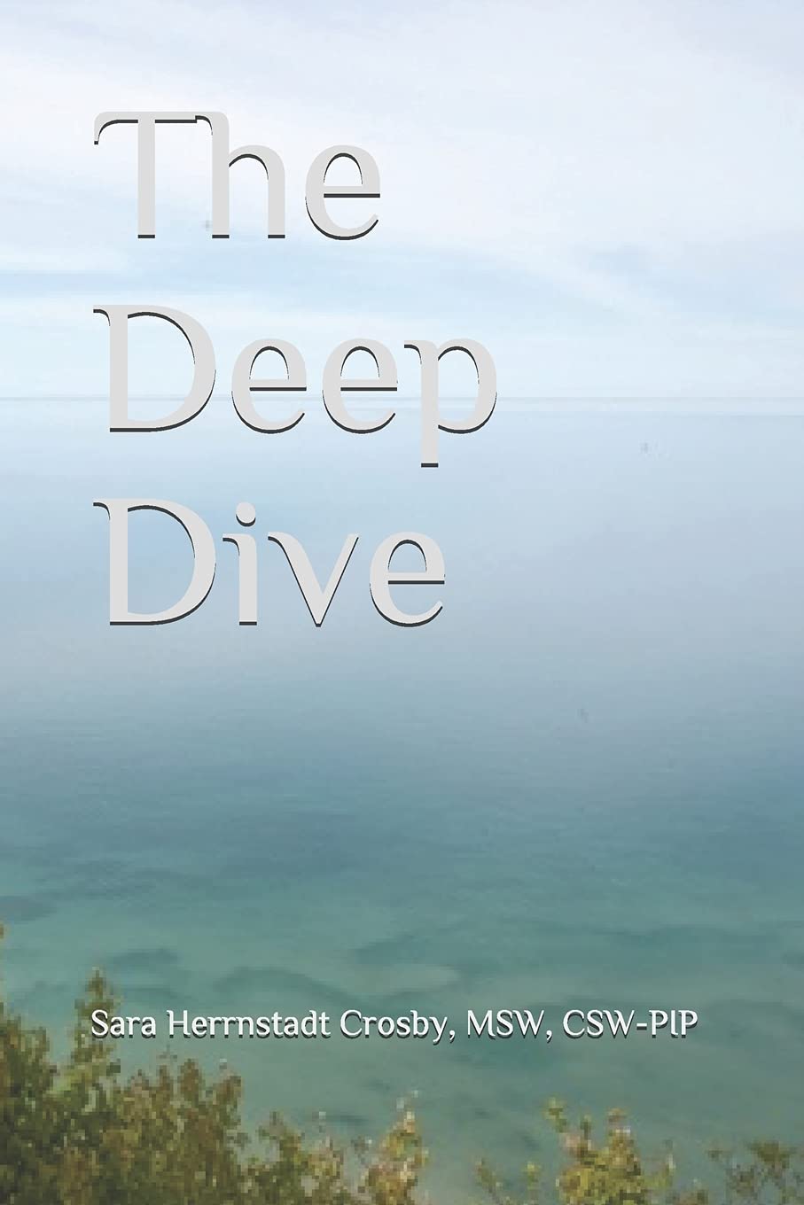 The Deep Dive by Sara Herrnstadt Crosby MSW | Goodreads