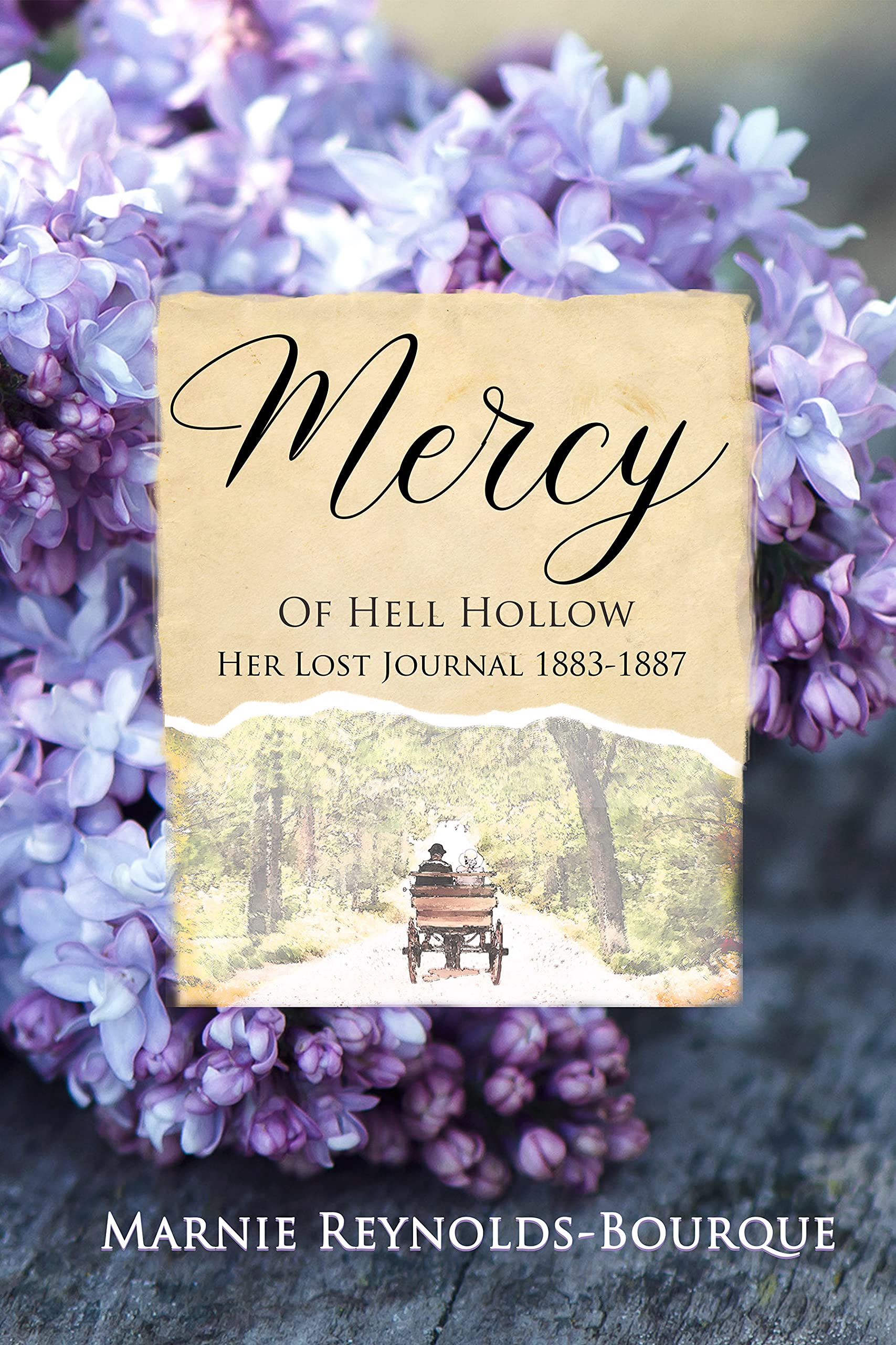 Mercy of Hell Hollow: Her lost journal 1883-1887 by Marnie Reynolds ...