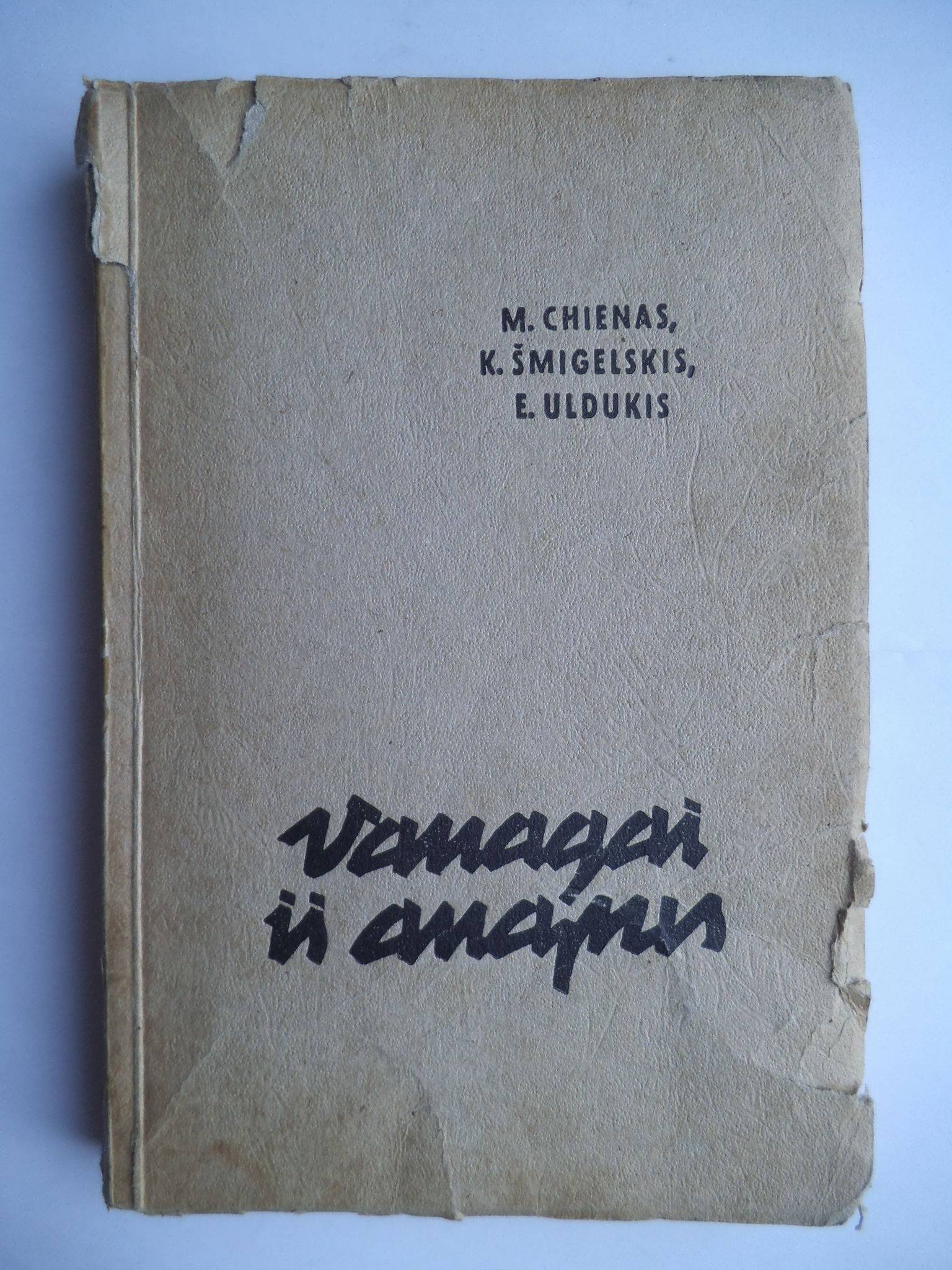 Vanagai iš anapus by M. Chienas, K. Šmigelskis, E.Uldukis | Goodreads