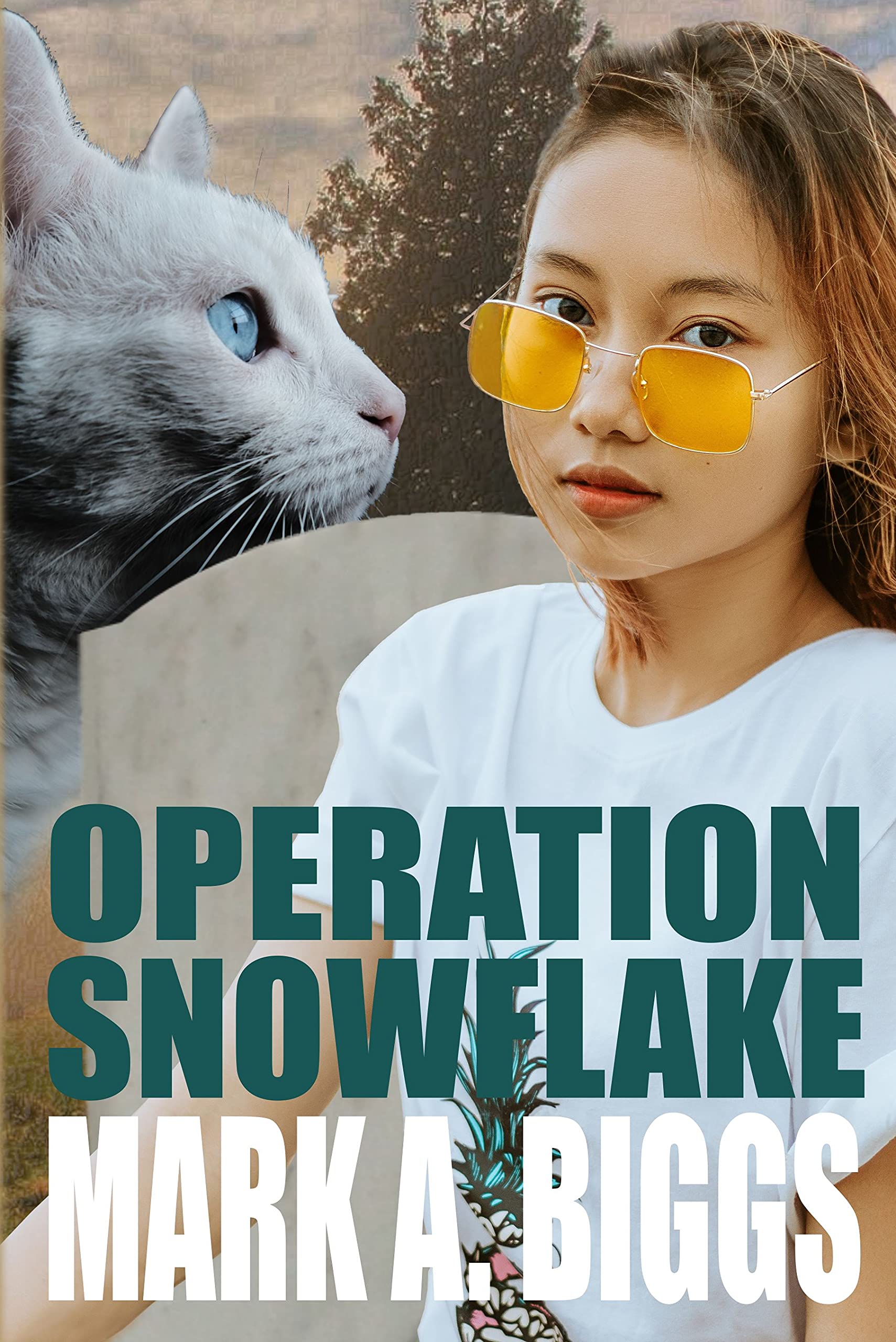 Operation Snowflake (Max & Olivia Book 6) by Mark A. Biggs | Goodreads