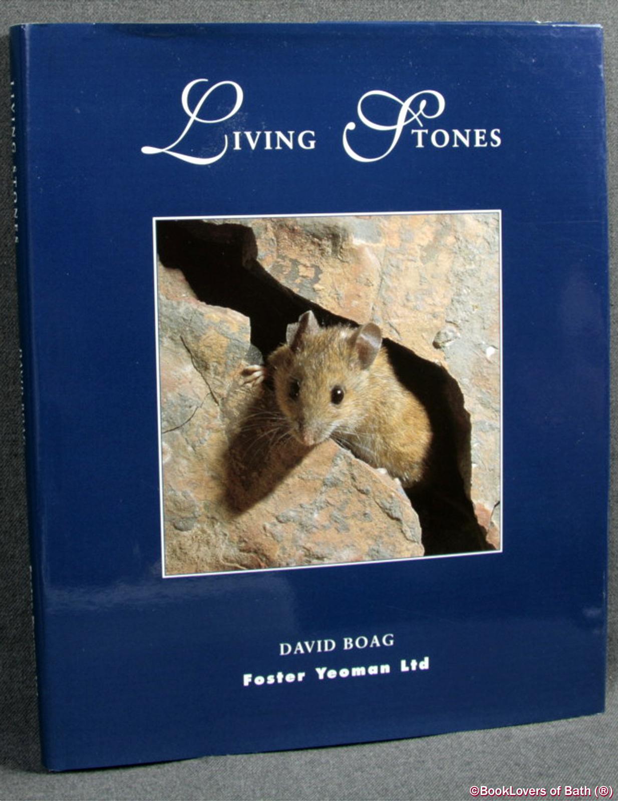 Living Stones by David Boag | Goodreads