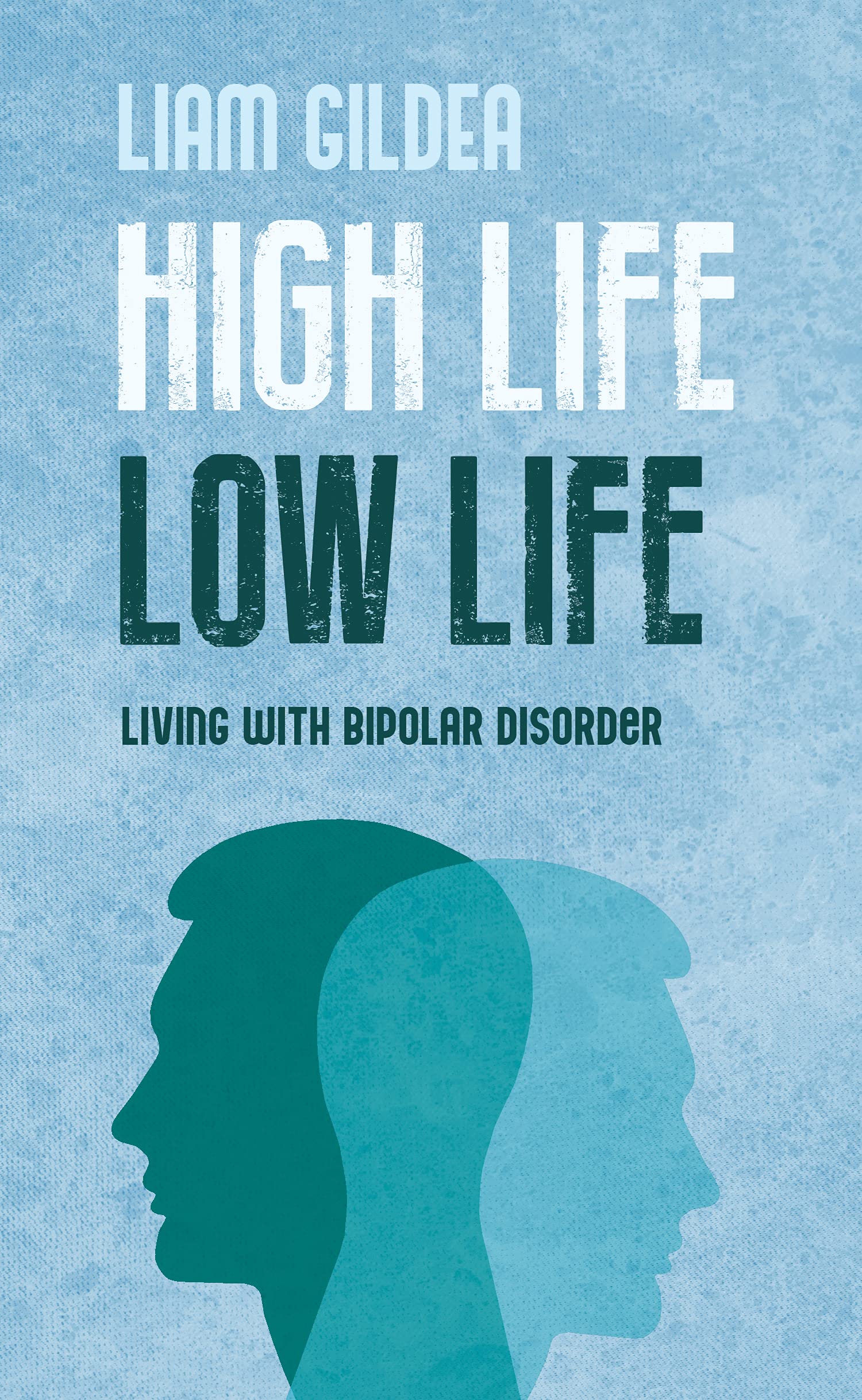 HIGH LIFE LOW LIFE: Living with bipolar disorder by Liam Gildea | Goodreads