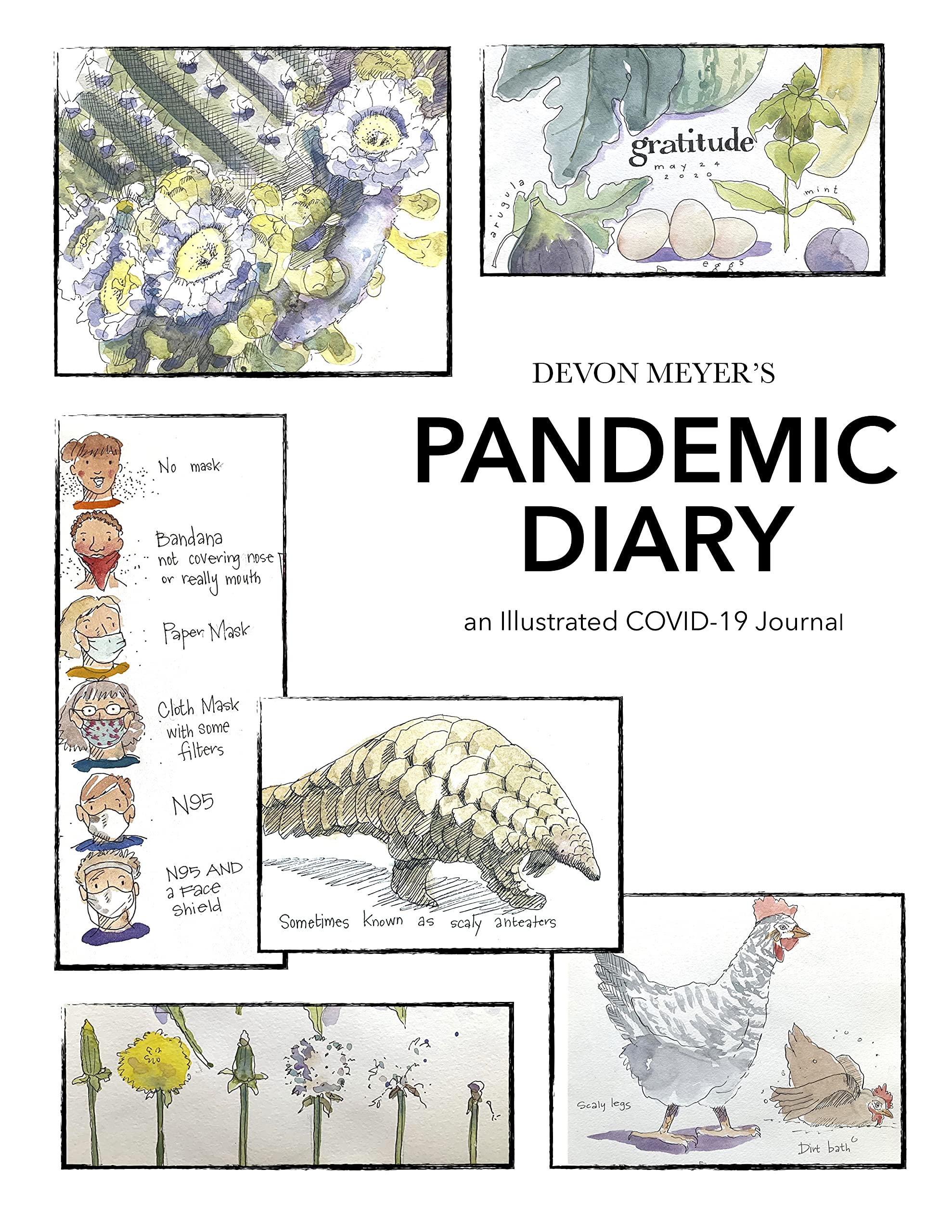 Devon Meyer's Pandemic Diary: An Illustrated COVID-19 Journal by Devon ...