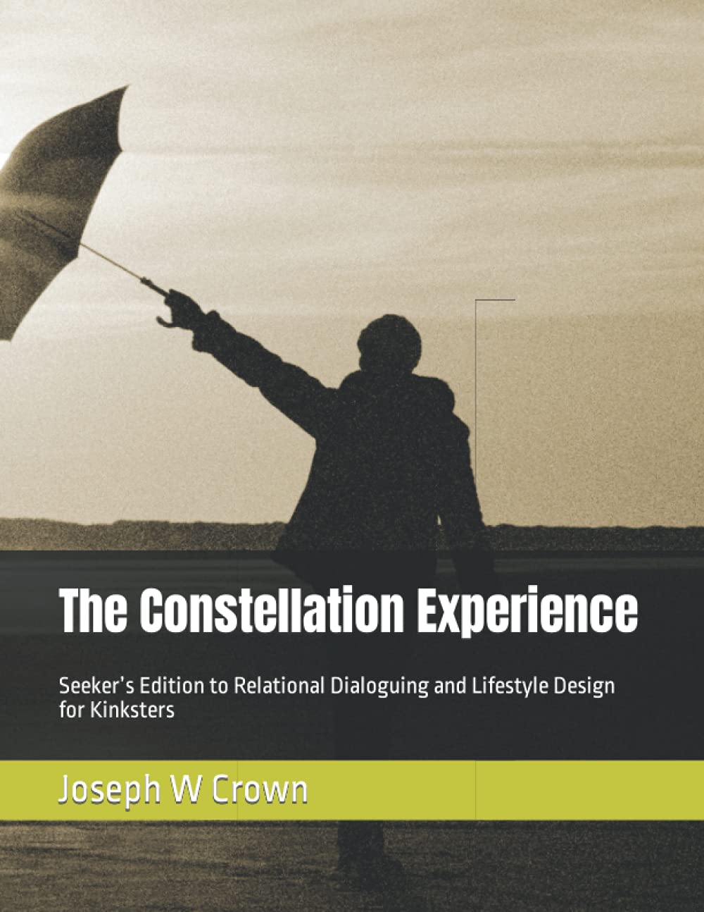 The Constellation Experience: Seeker’s Edition to Relational Dialoguing ...