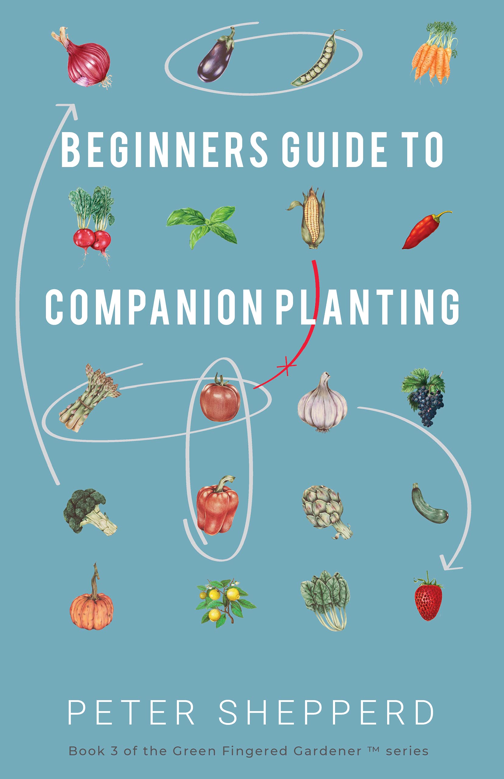 Beginners Guide to Companion Planting: Gardening Methods using Plant ...
