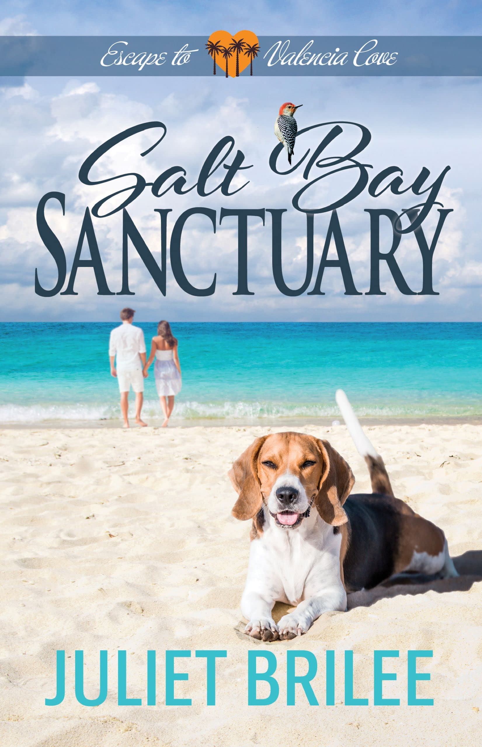 Salt Bay Sanctuary (Escape to Valencia Cove #5) by Juliet Brilee ...
