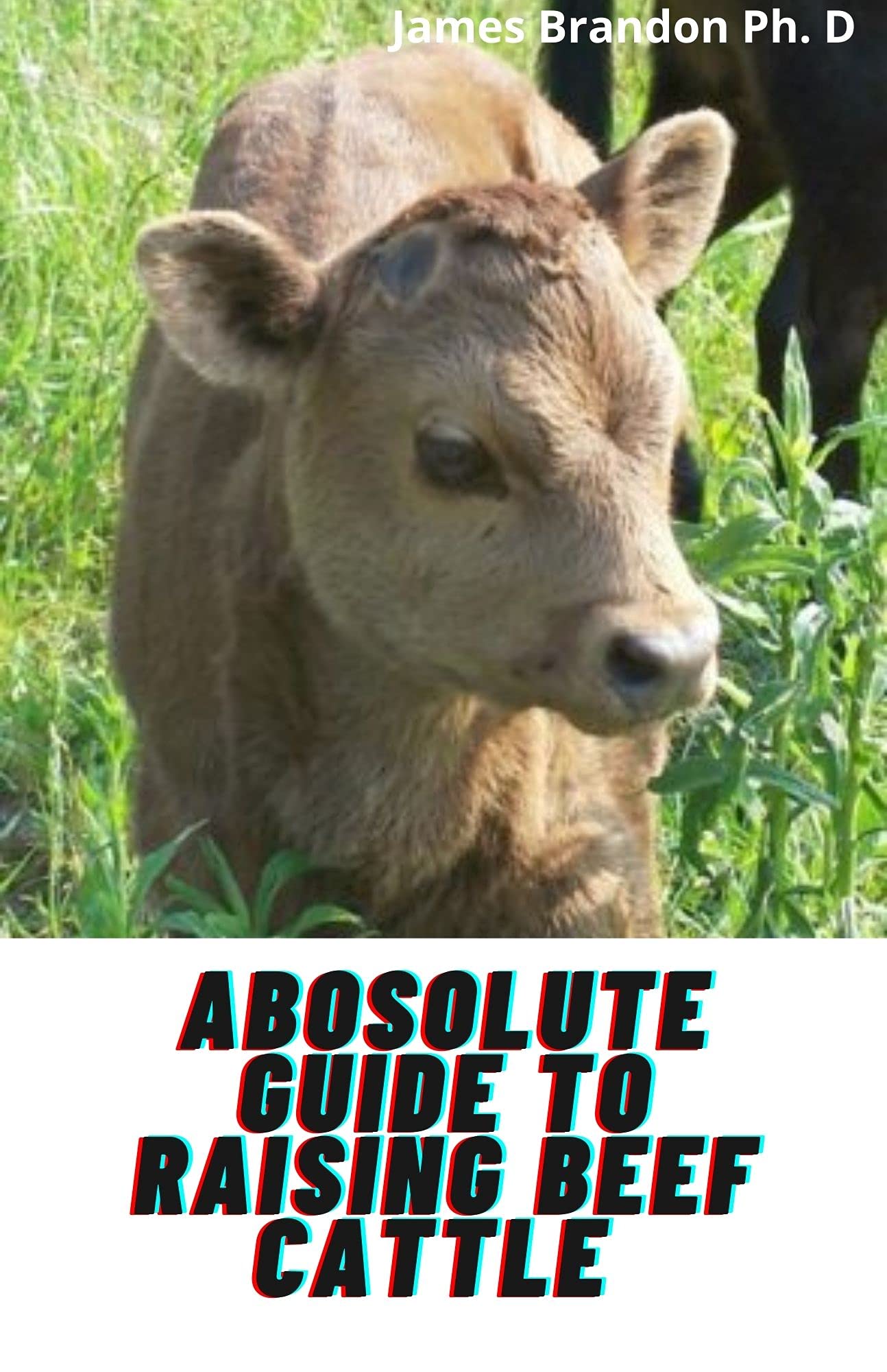 Abosolute Guide To Raising Beef Cattle : Raising cow, calve, bulls ...