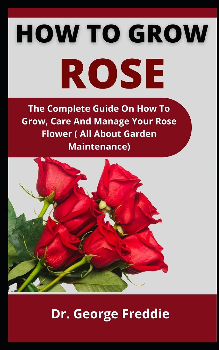 How To Grow Rose: The Complete Guide On How Grow, Care, And Manage Your ...