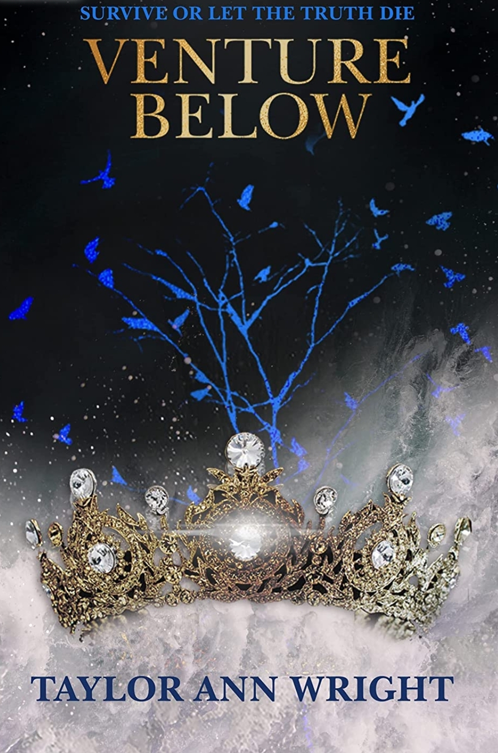 Venture Below by Taylor Ann Wright | Goodreads