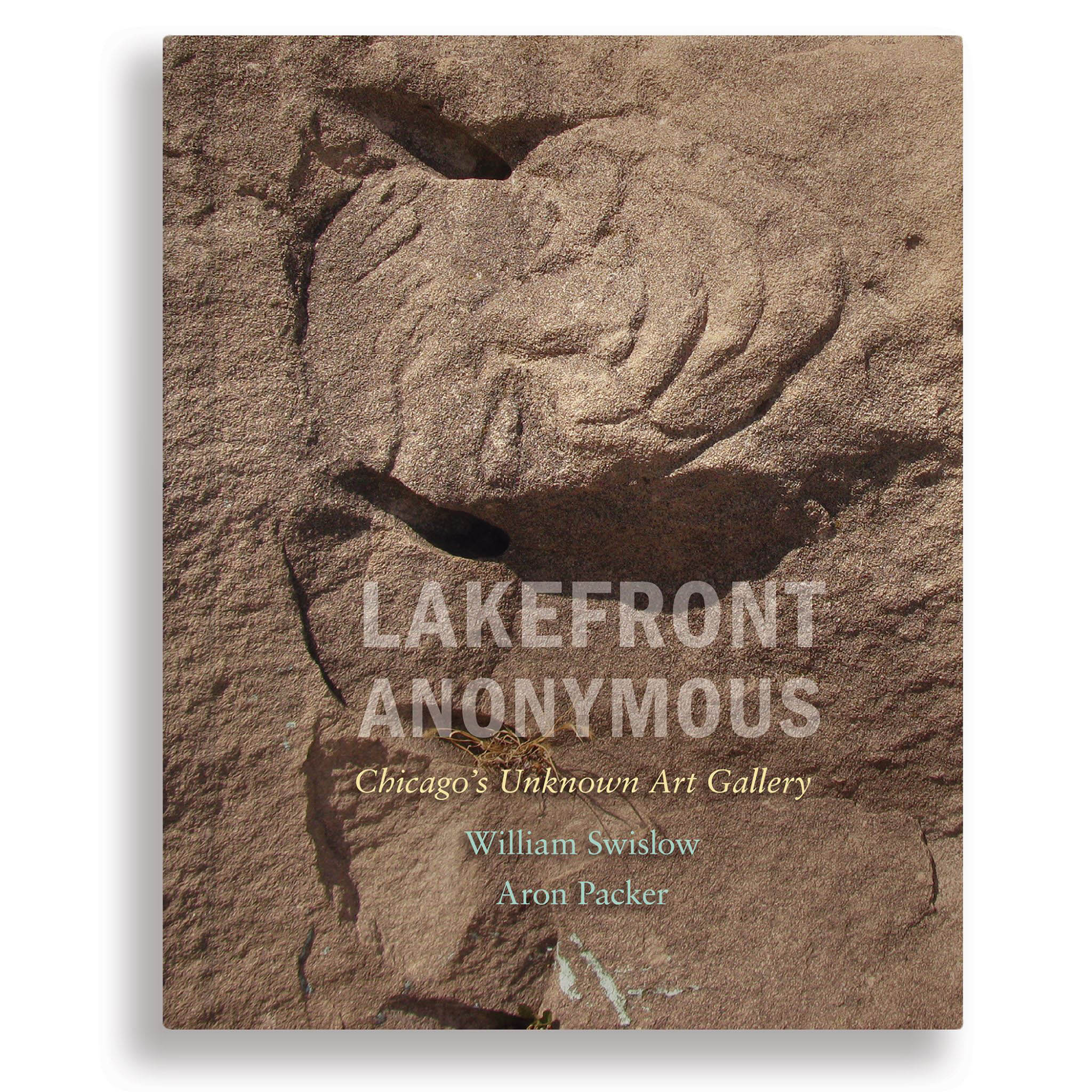 Lakefront Anonymous: Chicago's Unknown Art Gallery by William Swislow ...