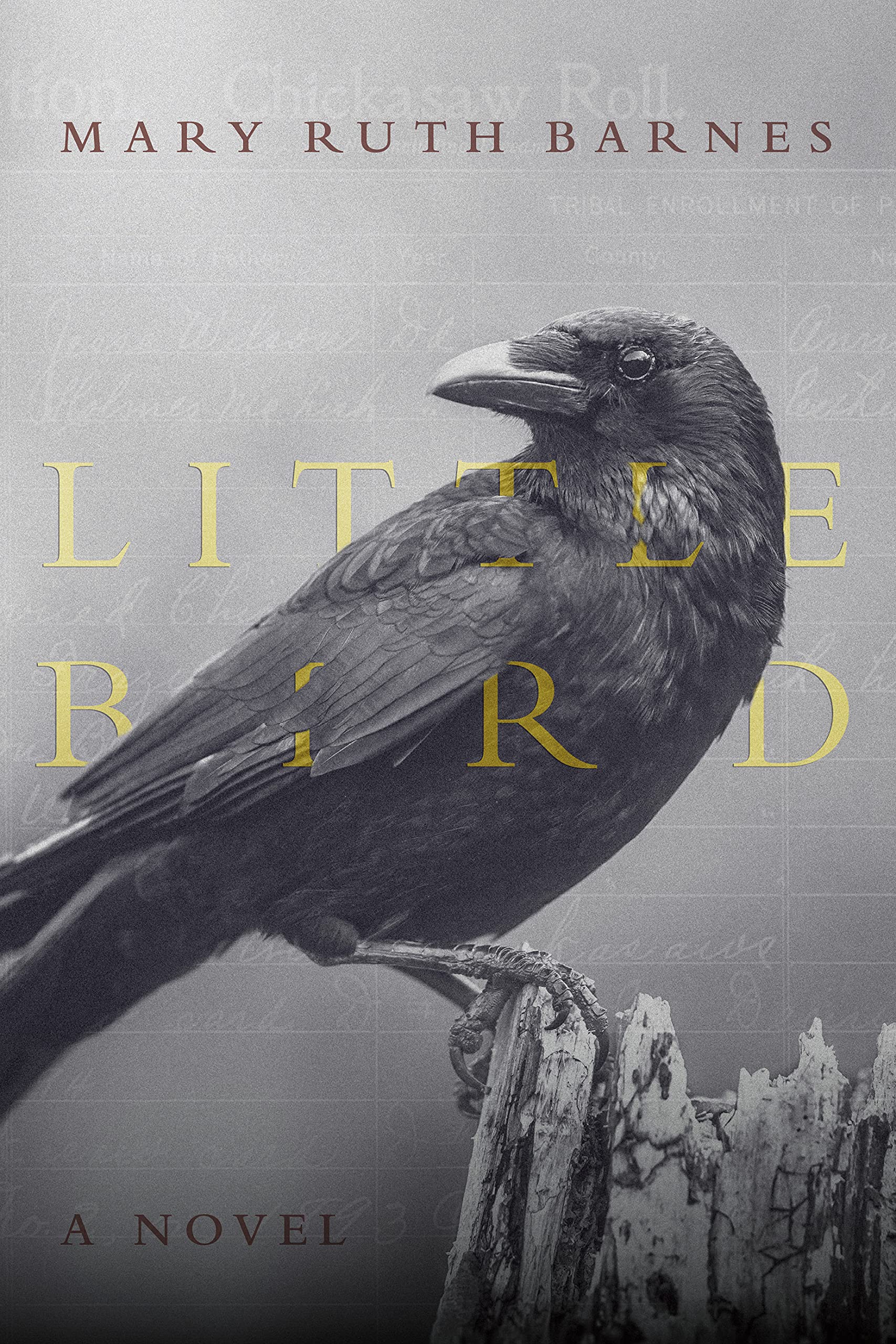 Little Bird by Mary Ruth Barnes | Goodreads