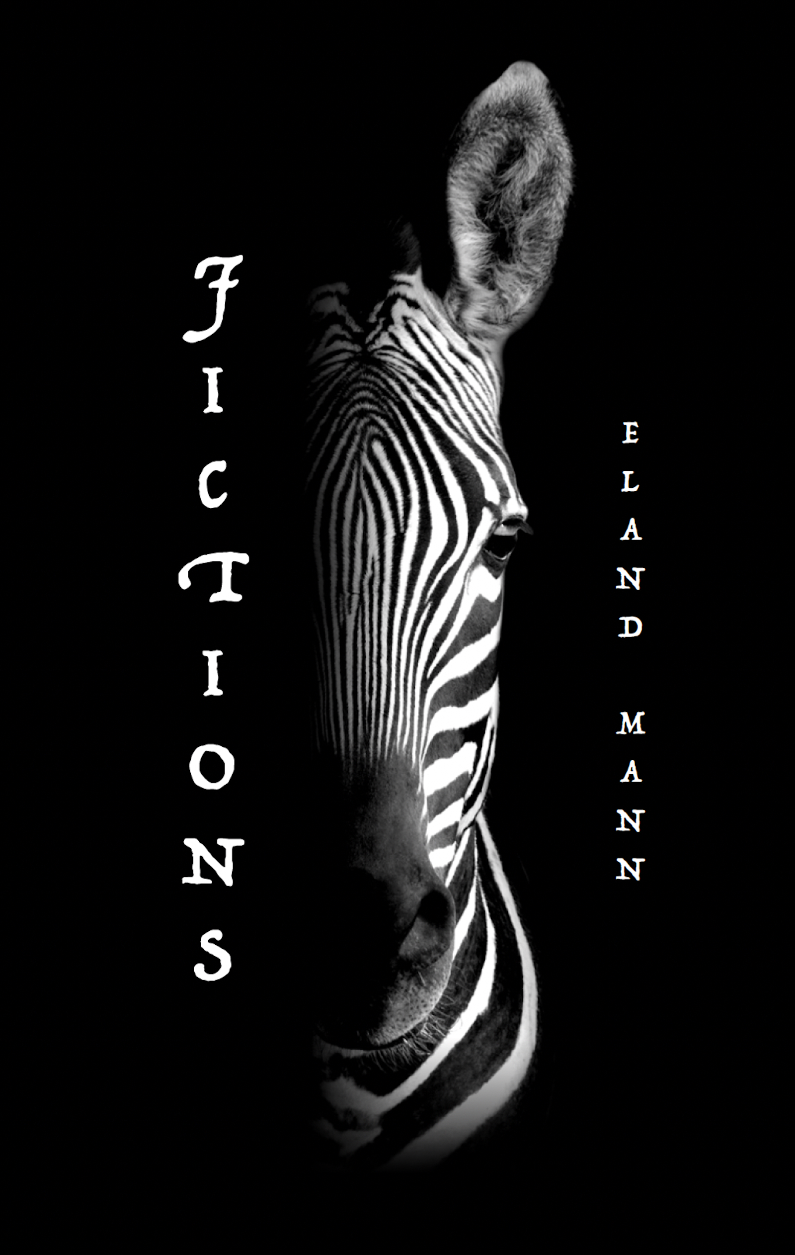 Fictions: Short Stories and Other Limitations by Eland Mann | Goodreads