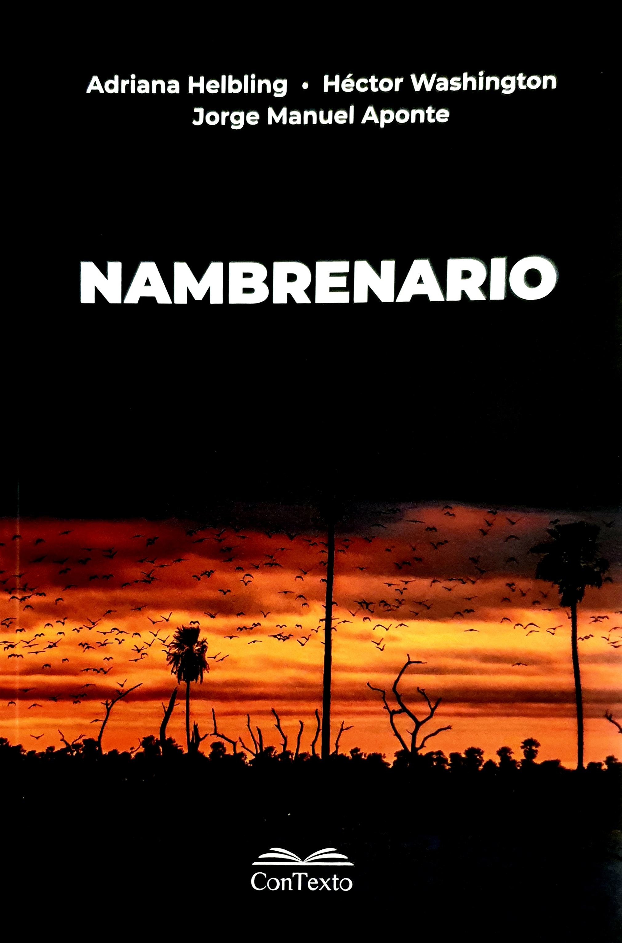 Nambrenario by Jorge Aponte | Goodreads