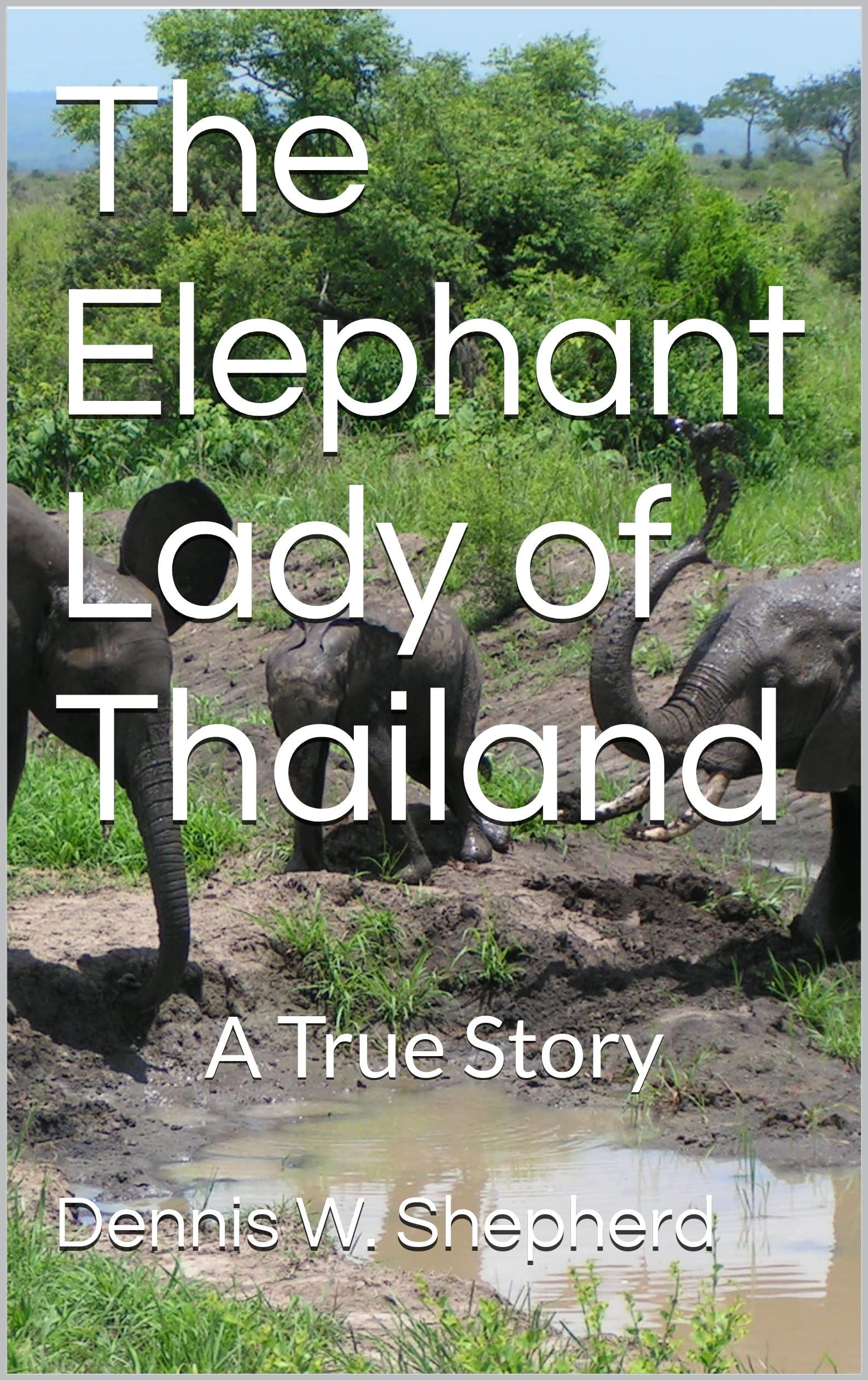 The Elephant Lady of Thailand: A True Story by Dennis W. Shepherd ...