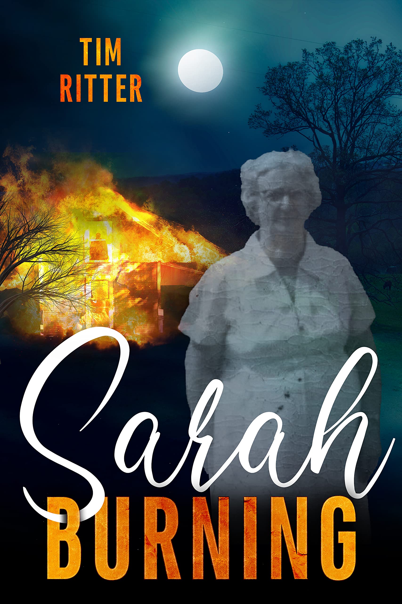 Sarah Burning by Tim Ritter | Goodreads