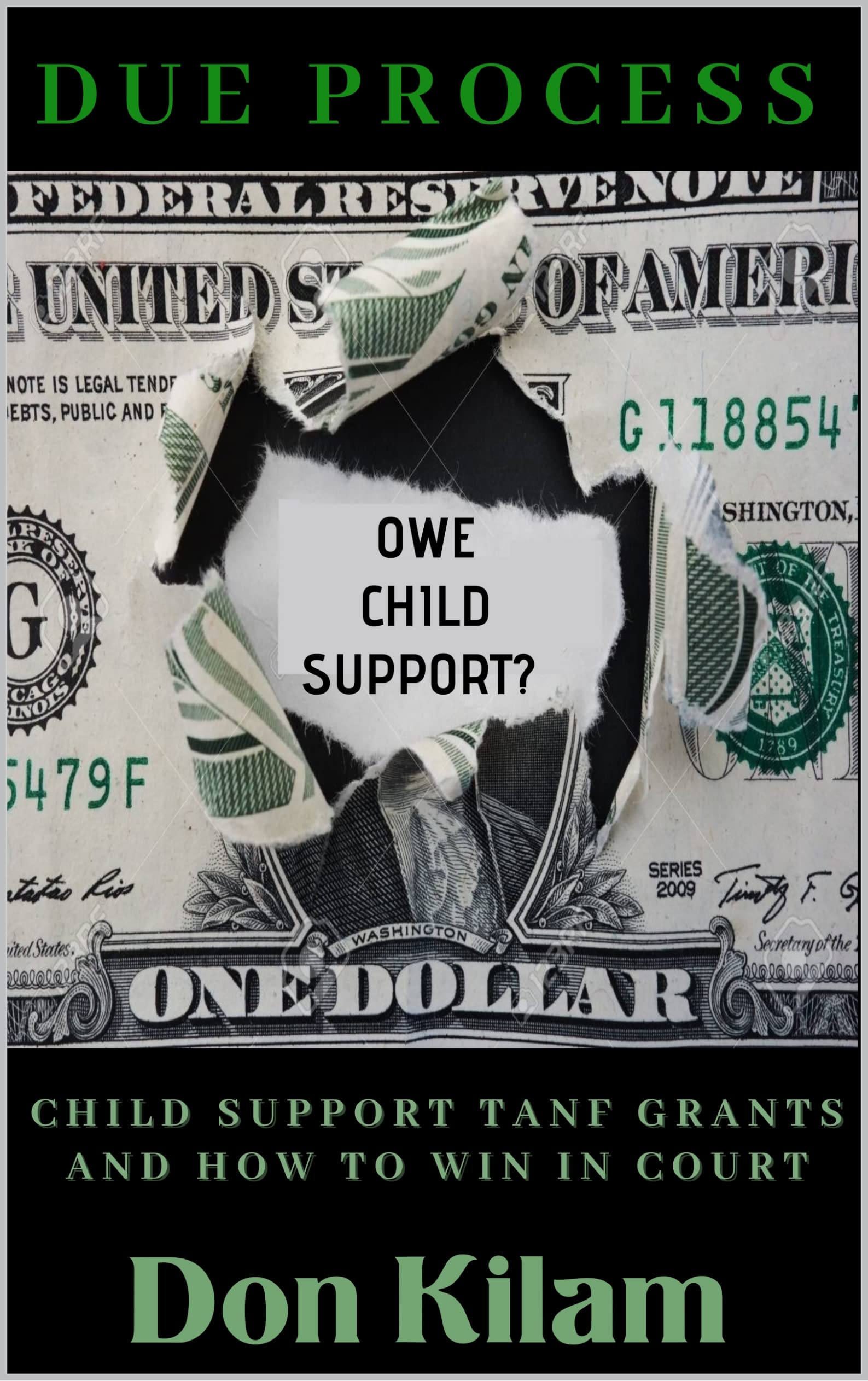 Due Process: Child Support Tanf Grants & How To Win In Court by Don ...