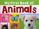 My First Book Of Animals by Castle Street Press | Goodreads