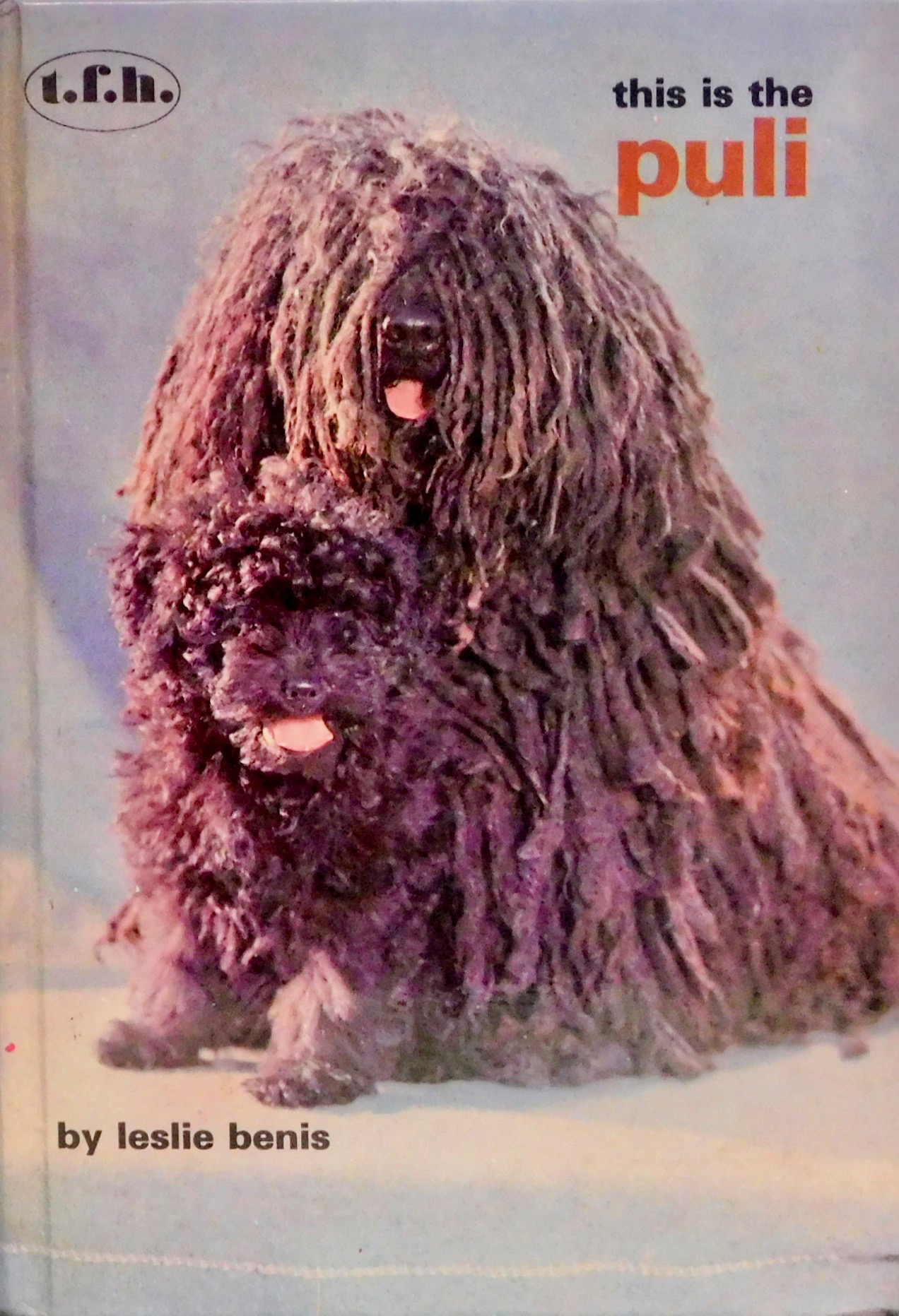 This Is the Puli by Leslie Benis | Goodreads