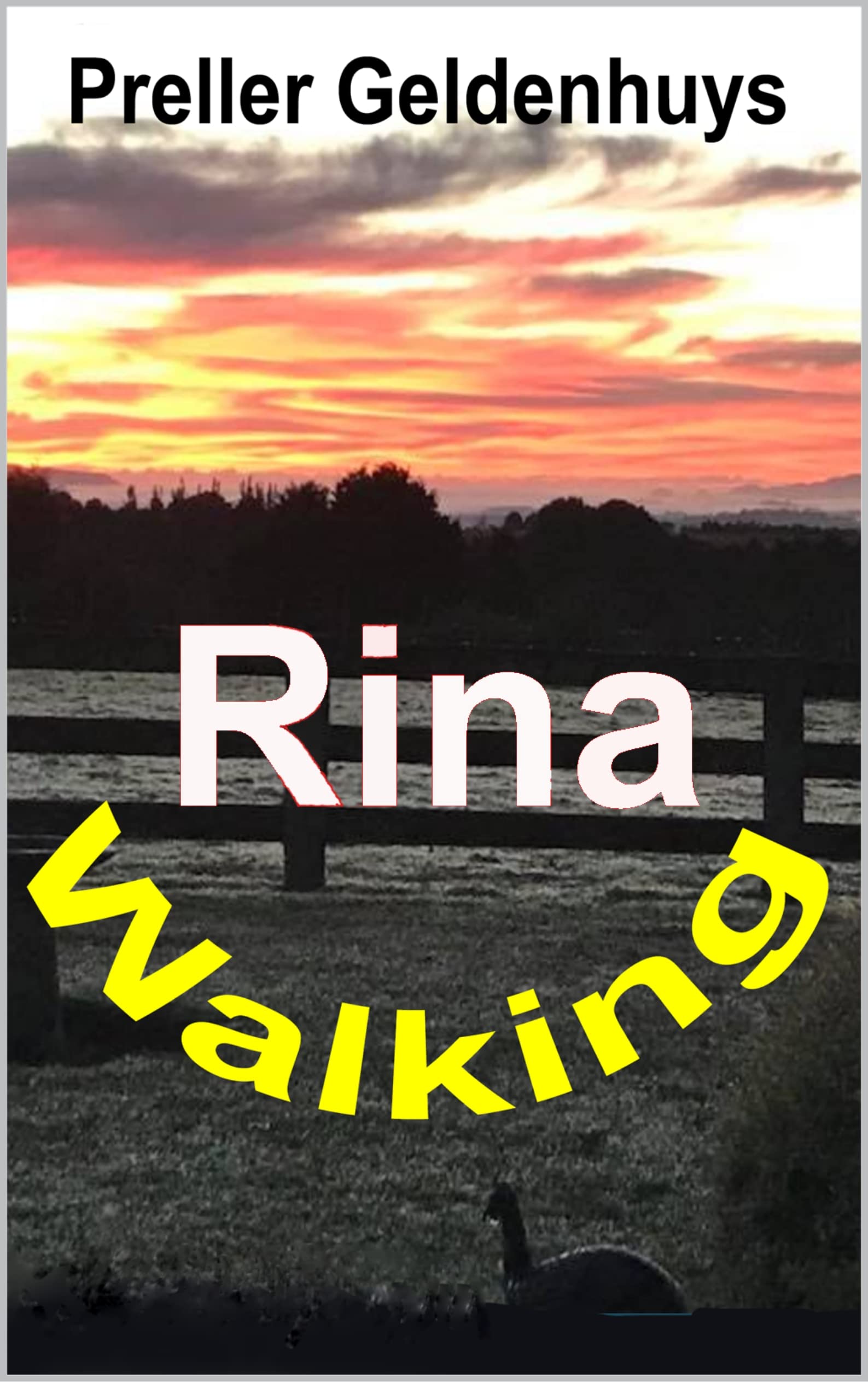 Rina : Walking (Rina's Stories Book 3) by Preller Geldenhuys | Goodreads