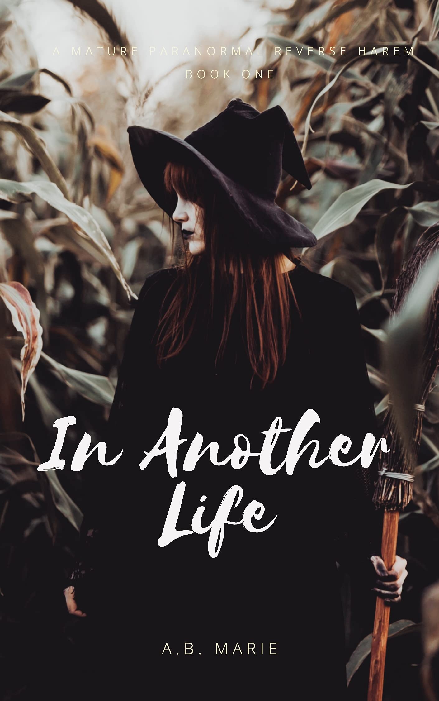 In Another Life (Second Chances - Book One) by A.B. Marie | Goodreads