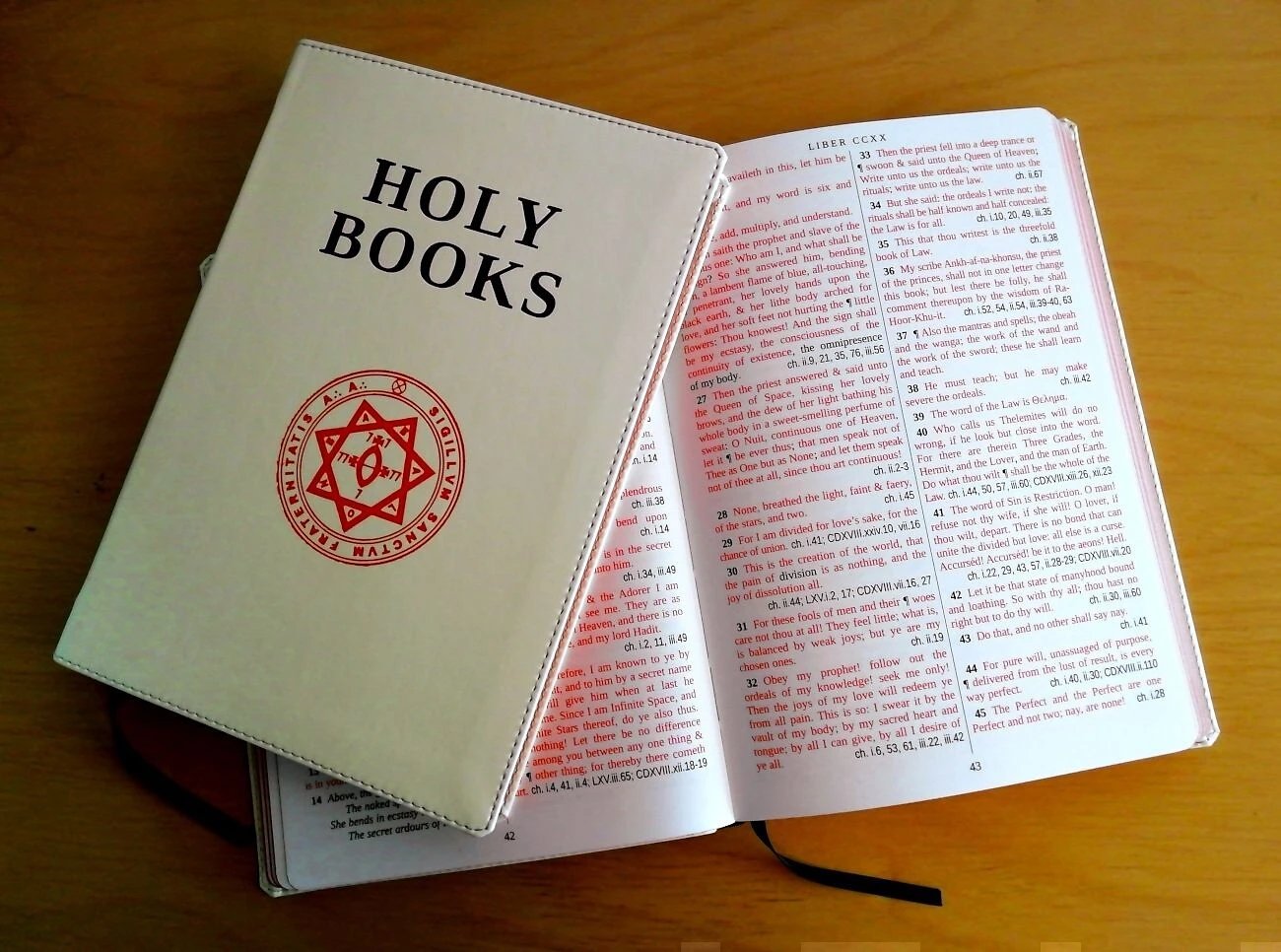 The Holy Books of the A∴A∴ : Including The Vision & the Voice : with ...