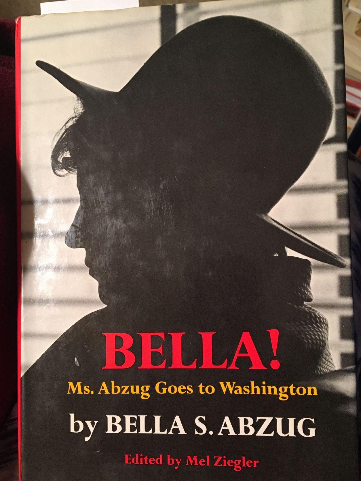 Bella!: Ms. Abzug goes to Washington by Bella S. Abzug | Goodreads