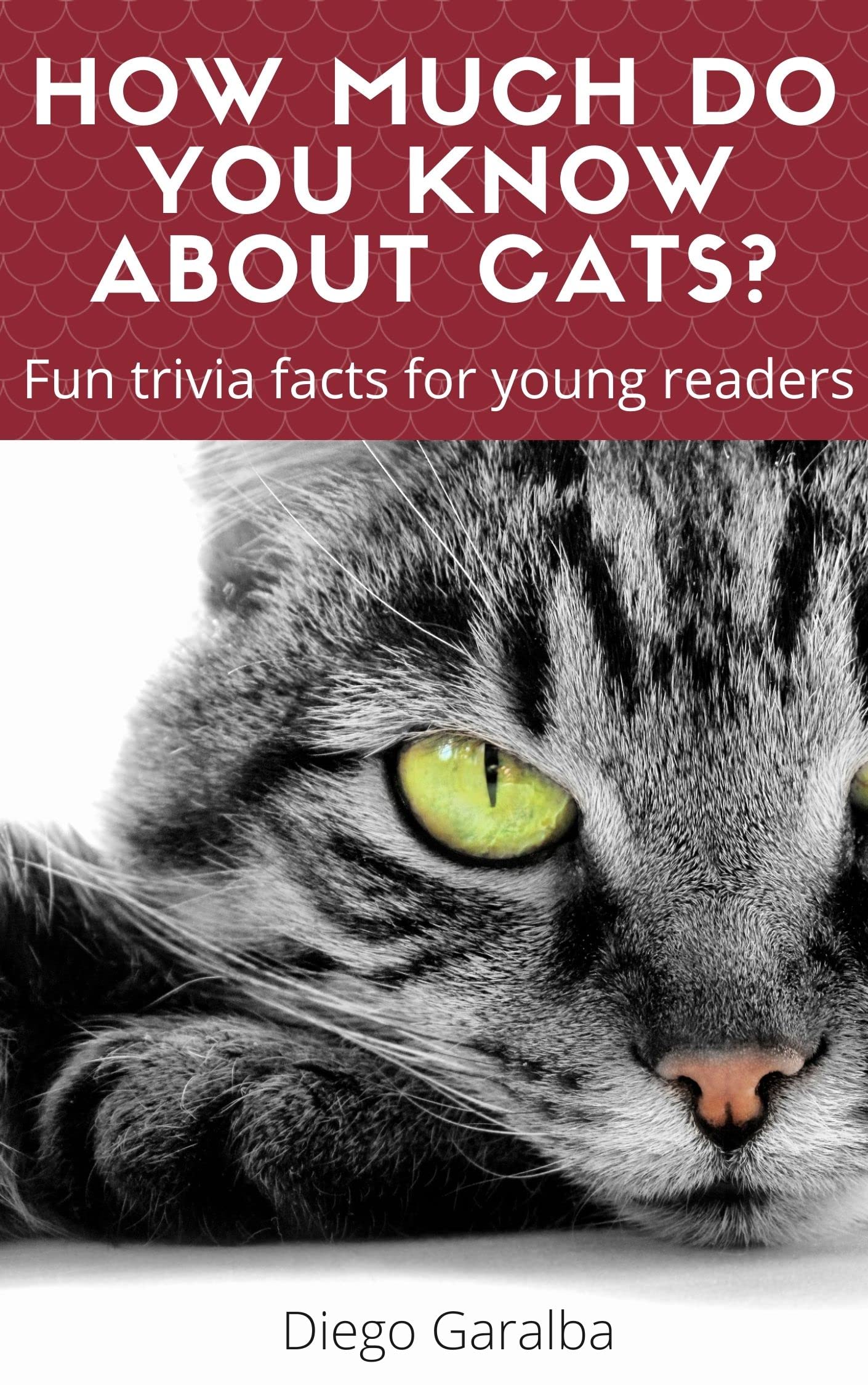 How much do you know about cats?: Fun trivia facts for young readers by ...