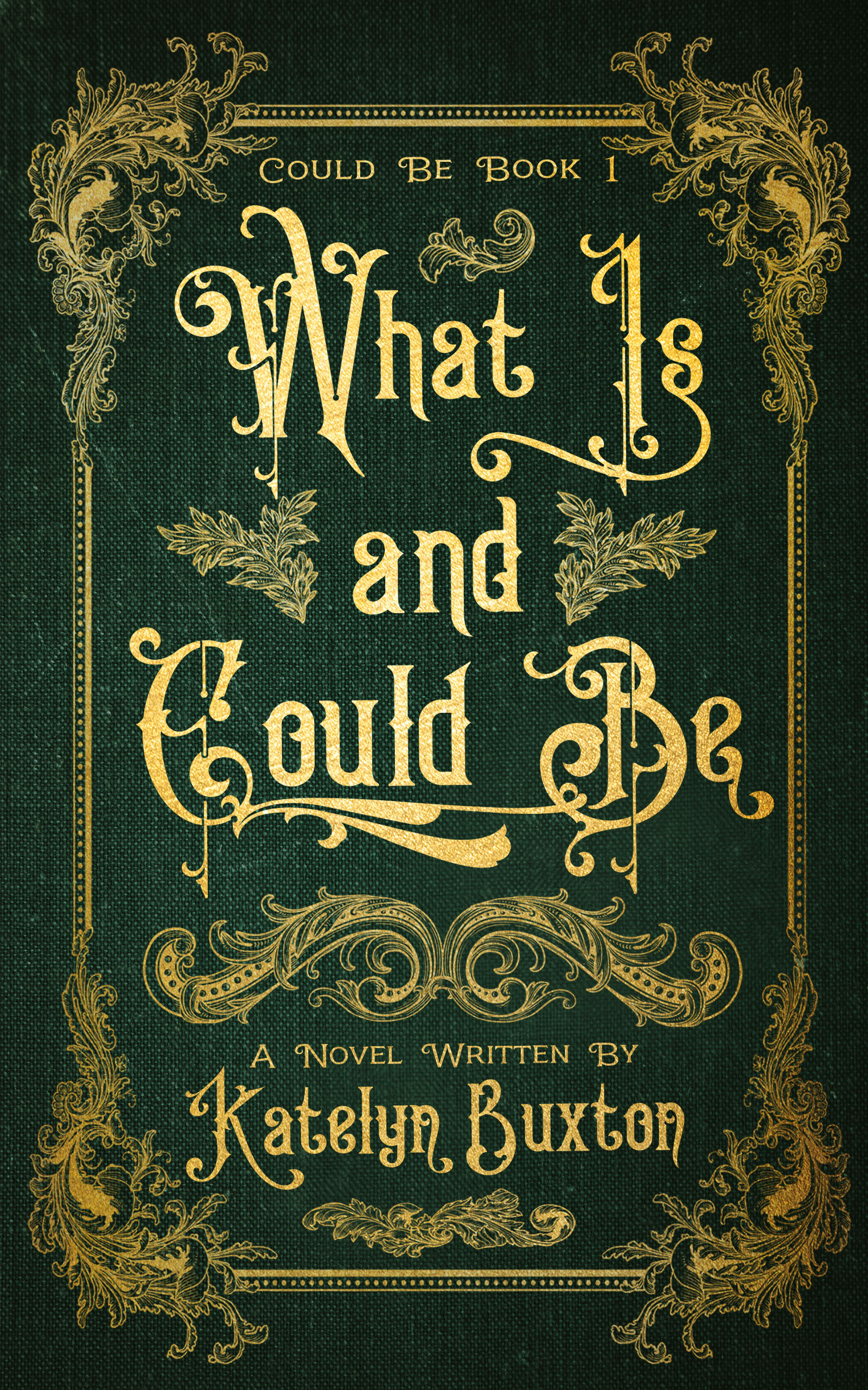 What Is and Could Be (Could Be, #1) by Katelyn Buxton | Goodreads